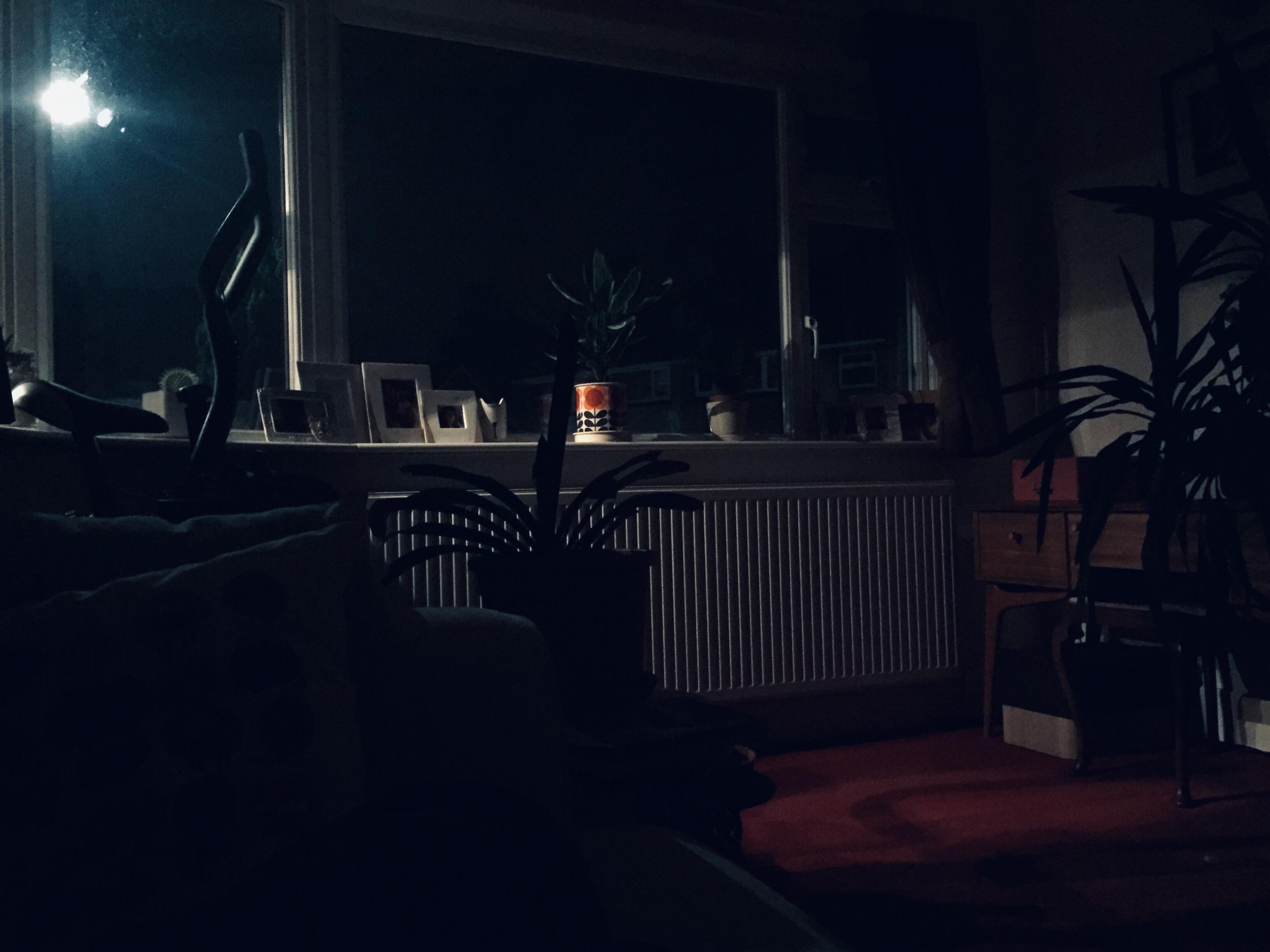 Chilling in the living room | Scrolller