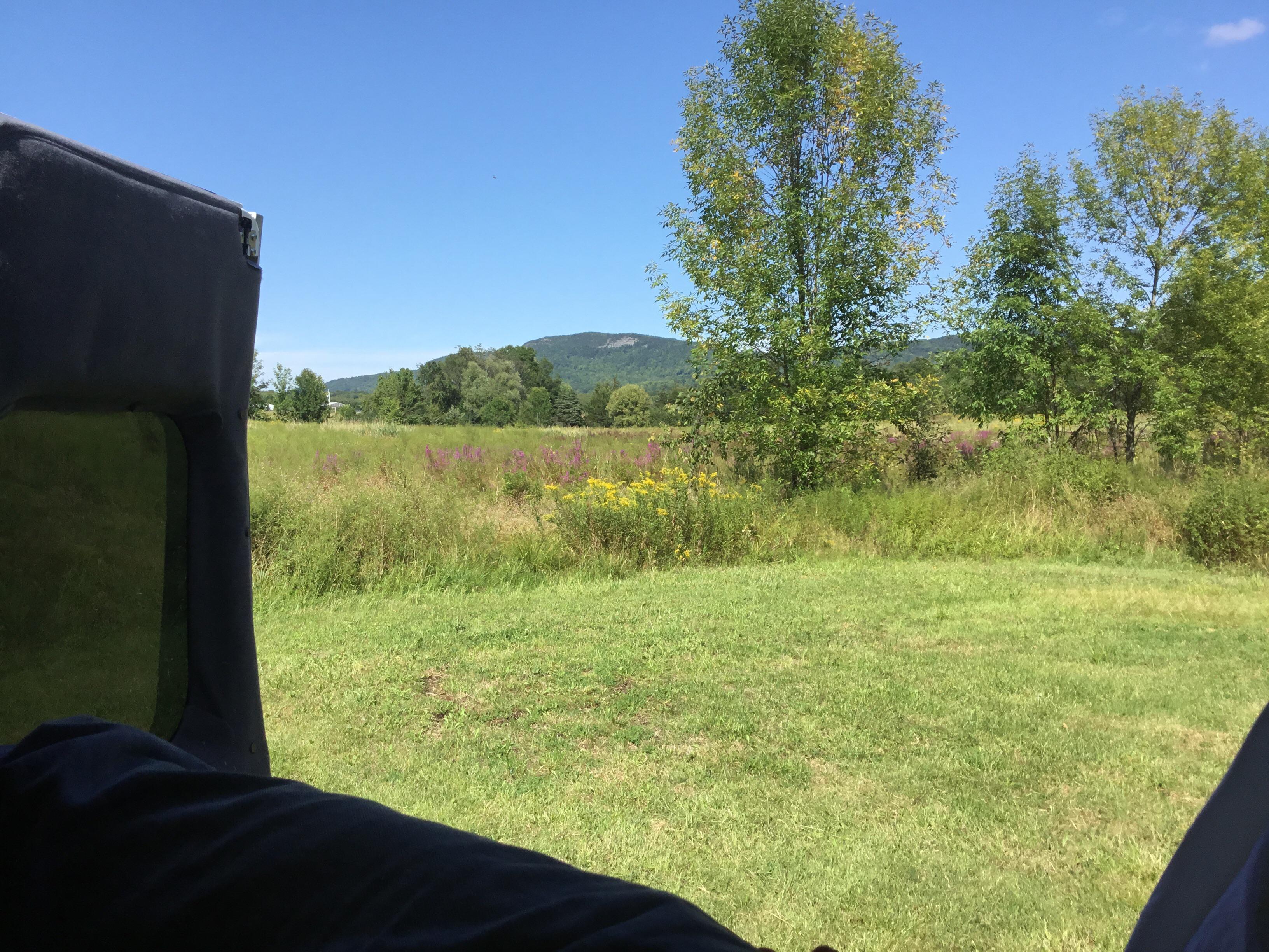 Chilling in the van in the backyard | Scrolller