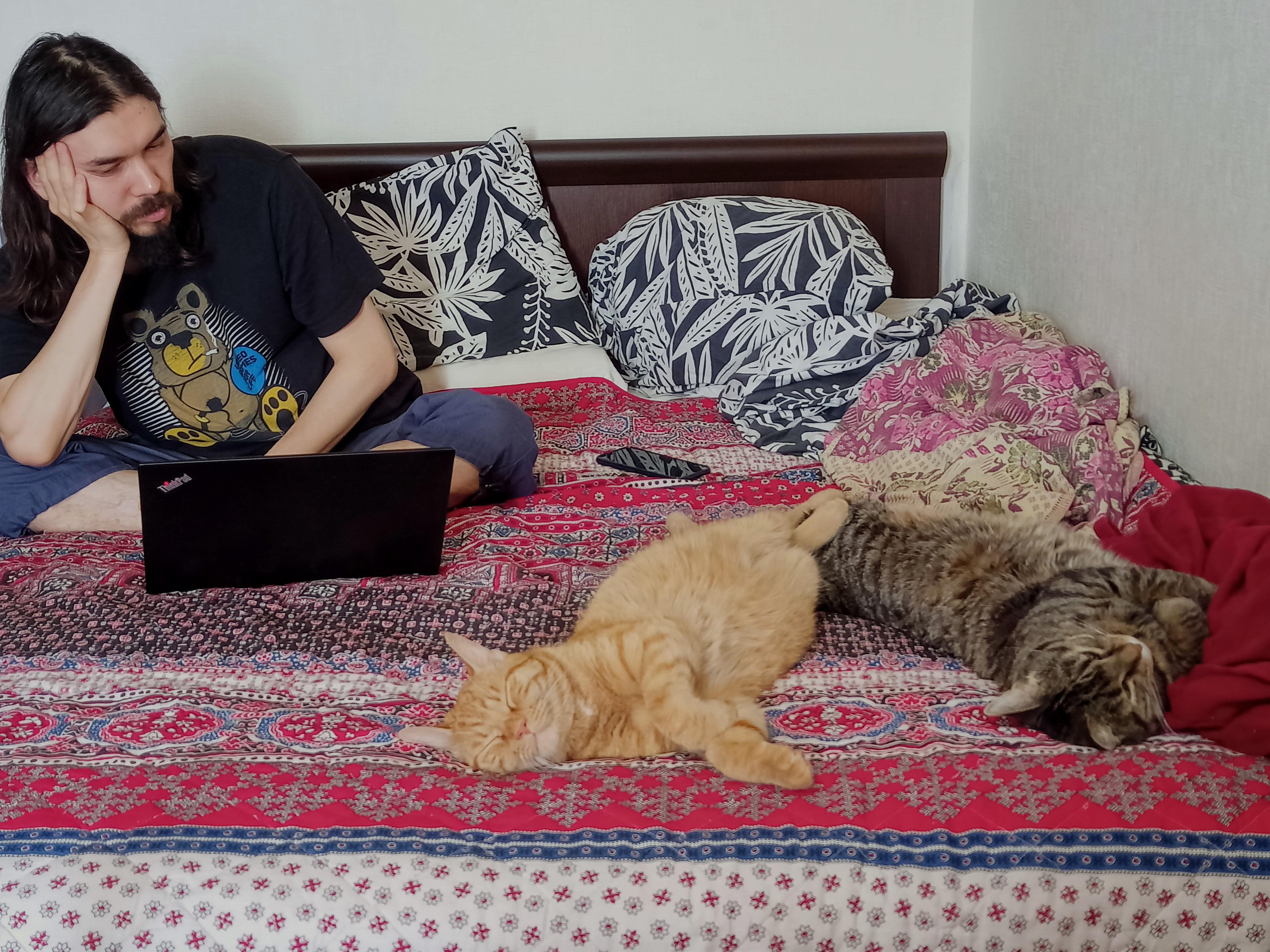 Chilling with cats | Scrolller