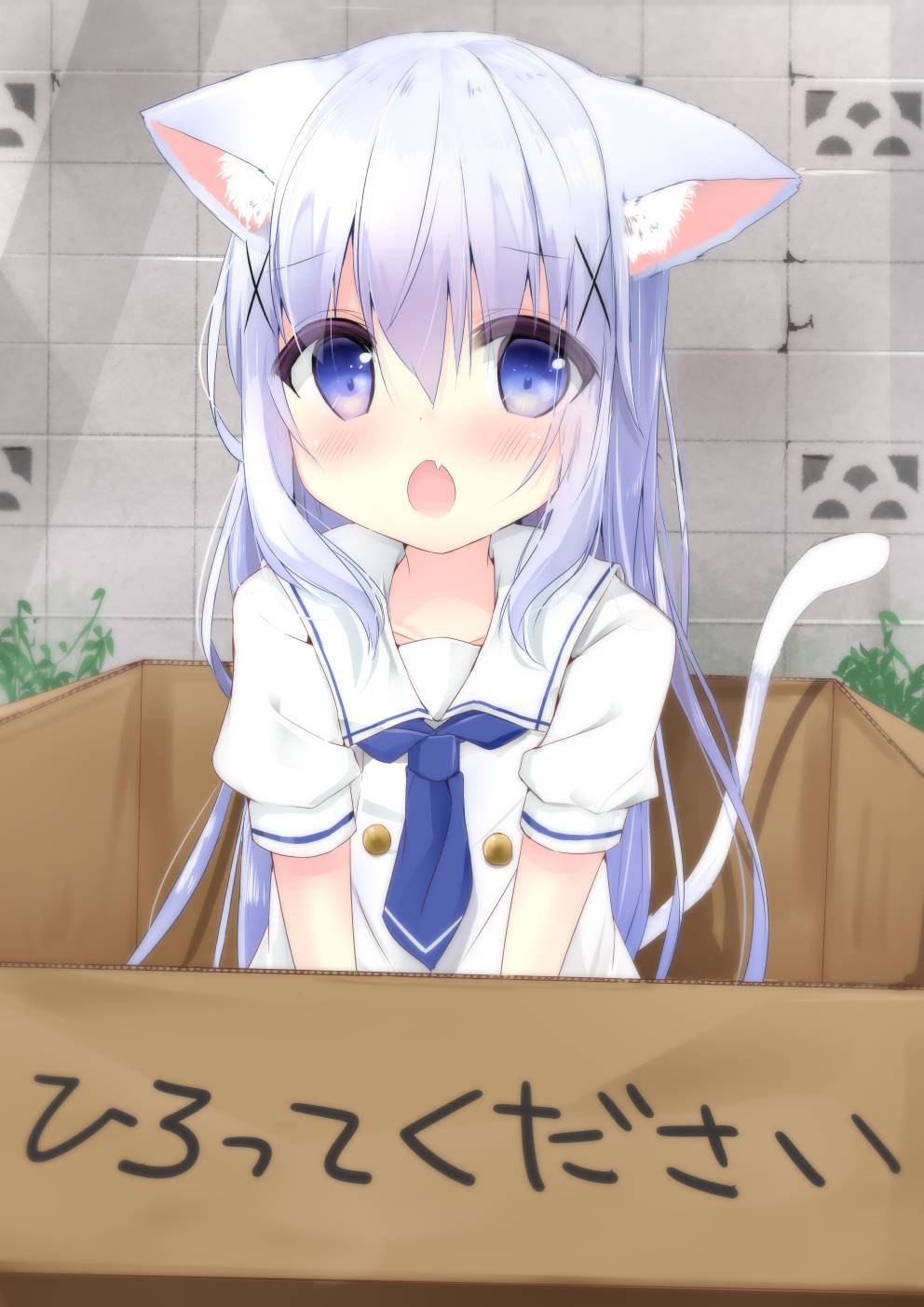 Chino Nyan | Scrolller
