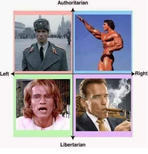 Choose your fighter | Scrolller