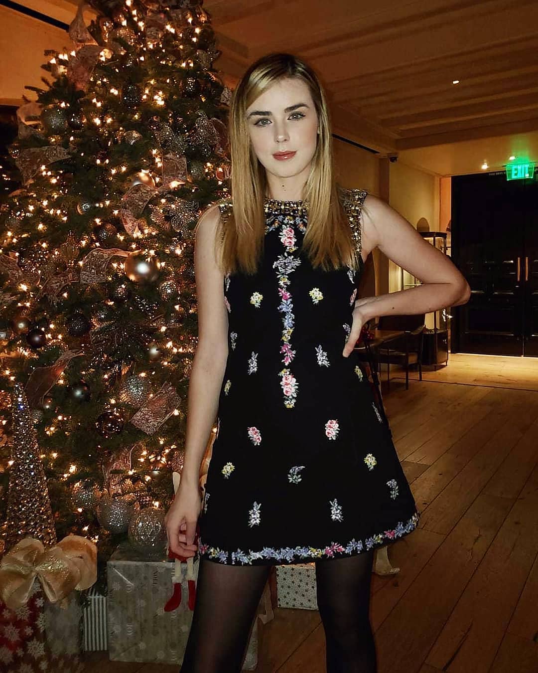 Christmas Tree | Scrolller