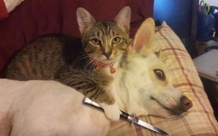 CIA agent held captive by Russian spy | Scrolller