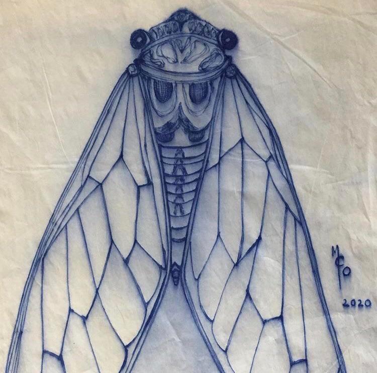 Cicada, Marie Oliveira, Ink, 2020 | Scrolller