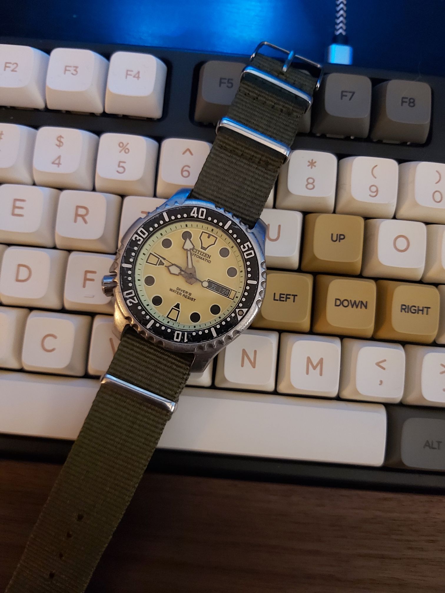[Citizen Promaster] Southpaw Desk Diver | Scrolller