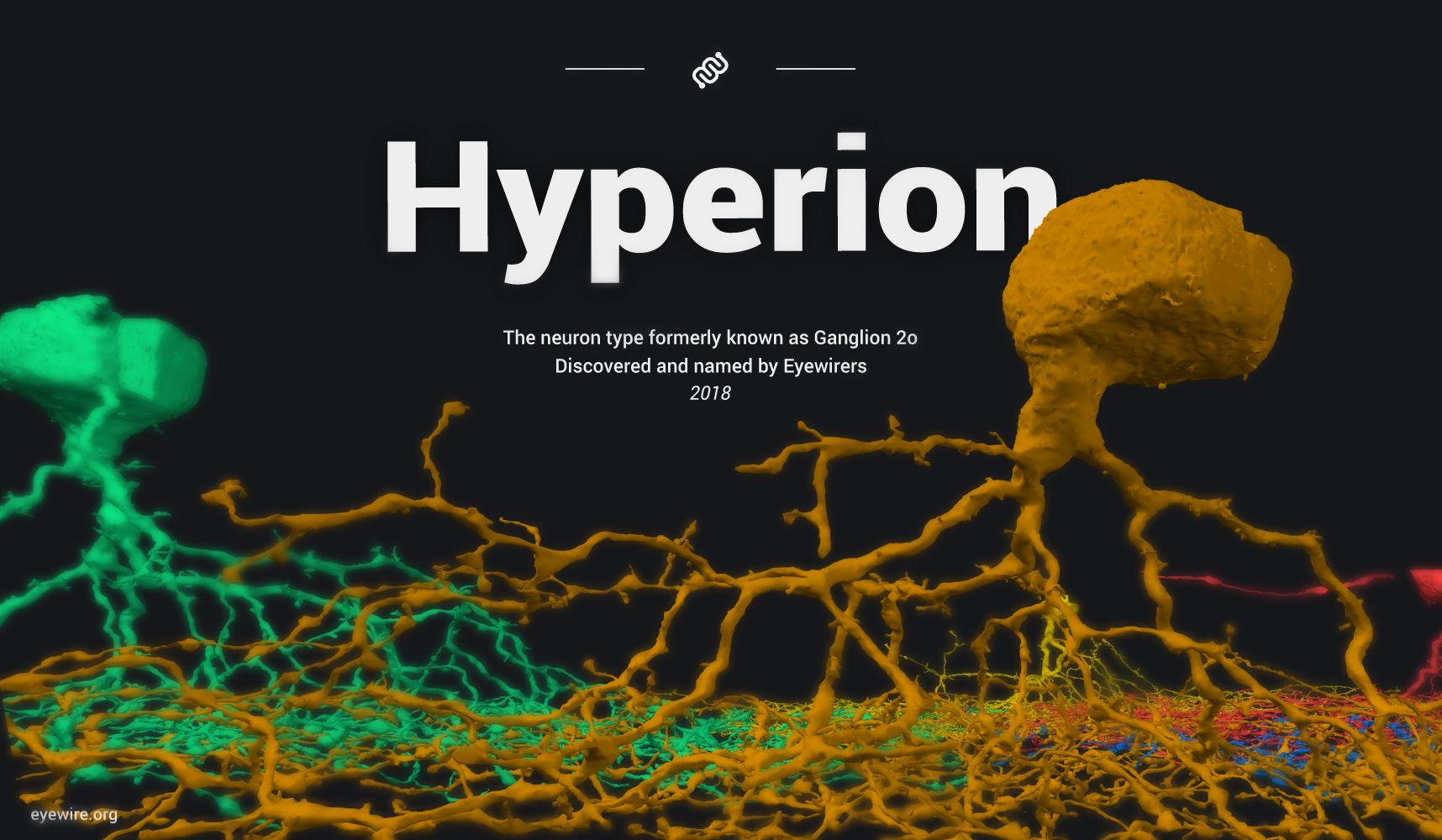 Citizen Scientists in Eyewire named a neuron Hyperion | Scrolller