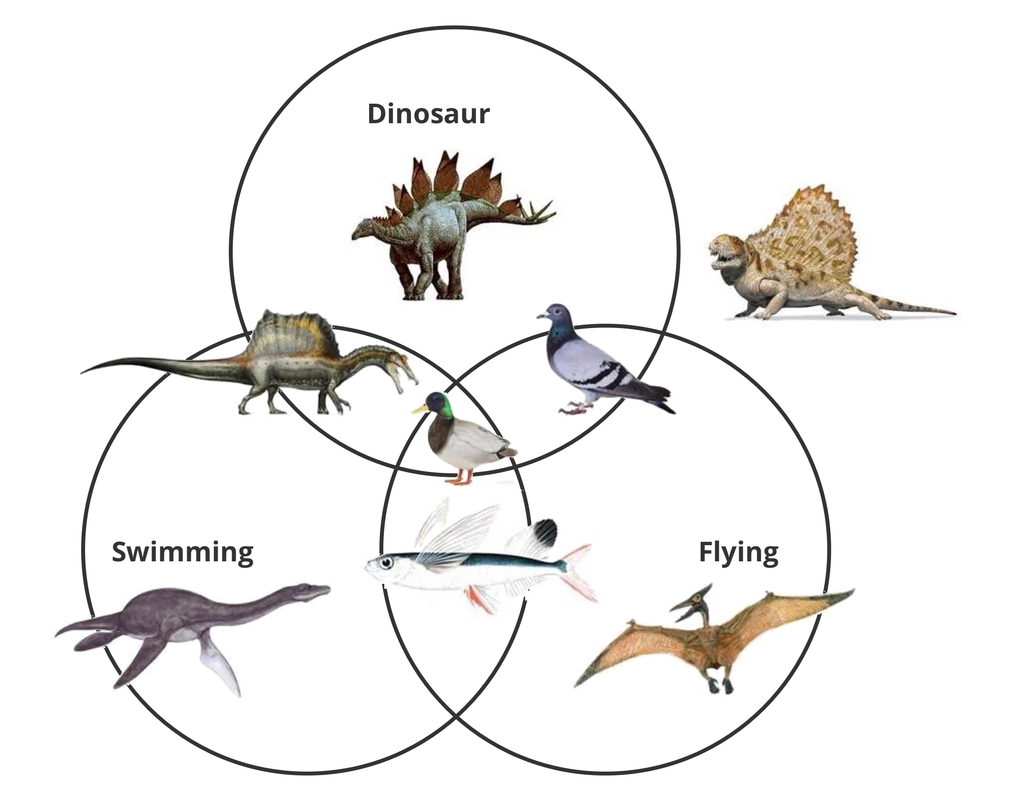 Clarification (Venn Diagram) | Scrolller