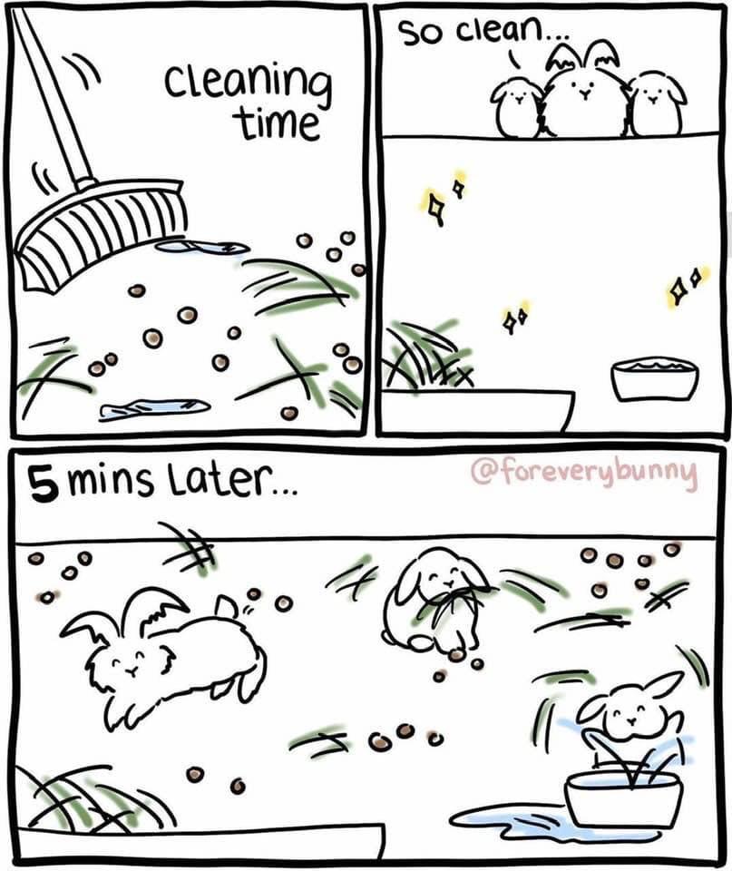 Cleaning time | Scrolller