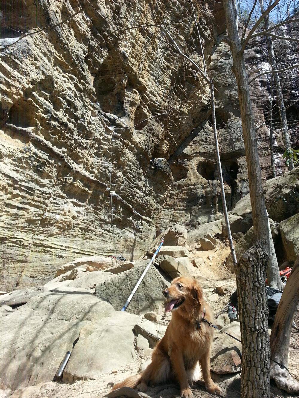 Climbing Crag Pooch (Red River Gorge, KY - Solar Collector Crag) | Scrolller