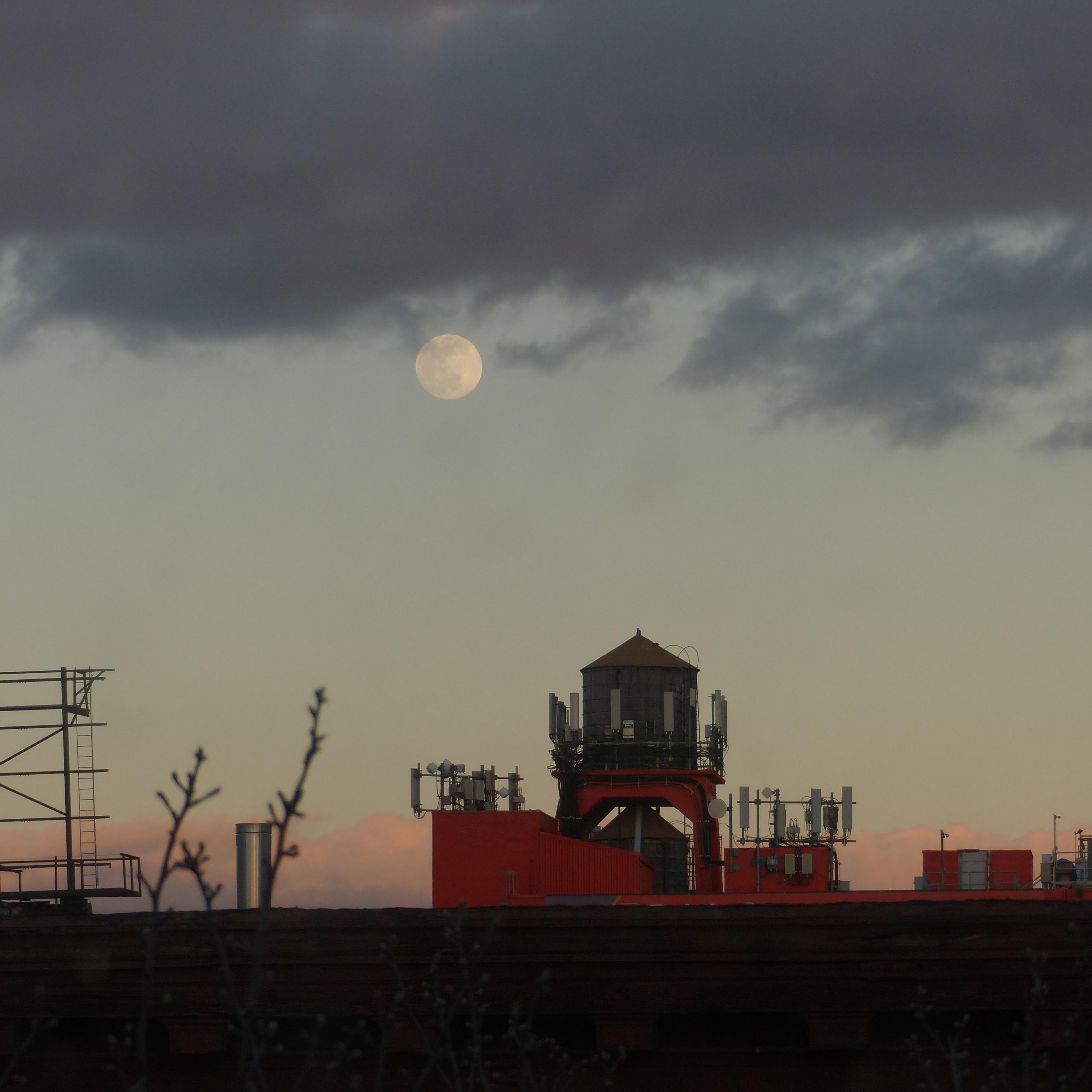 Clinton Hill Moon | Scrolller