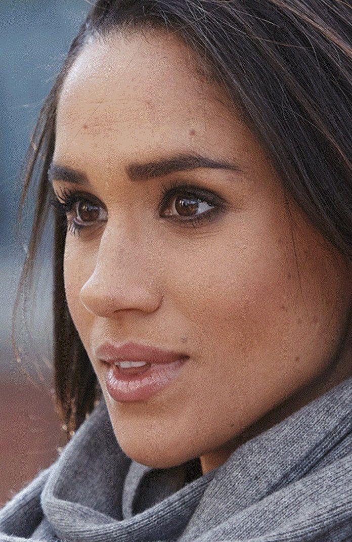 Close up beauty | Scrolller