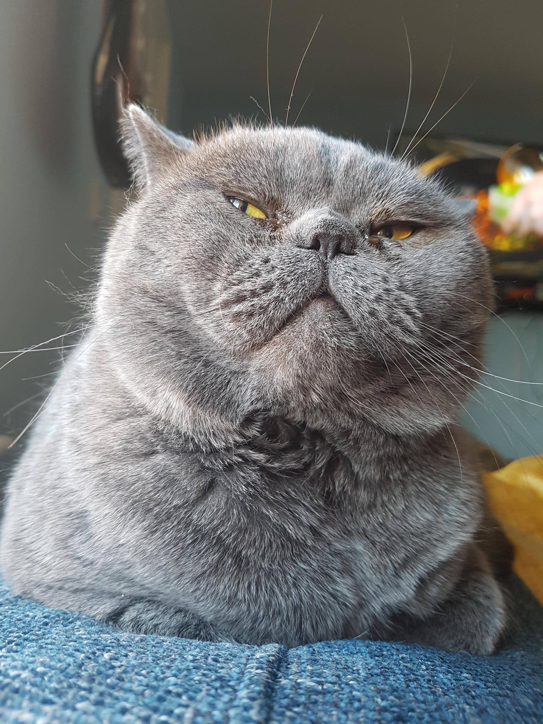 Close-up suspicious loaf | Scrolller