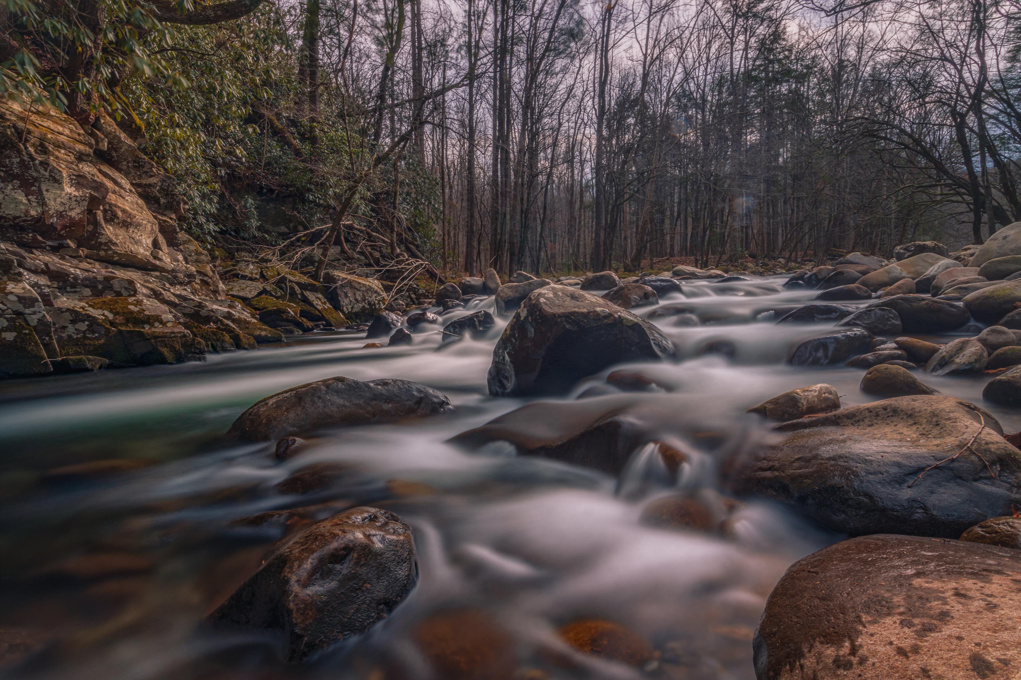 Cloudy day in the Great Smoky Mountains [OC][3500x2333] | Scrolller