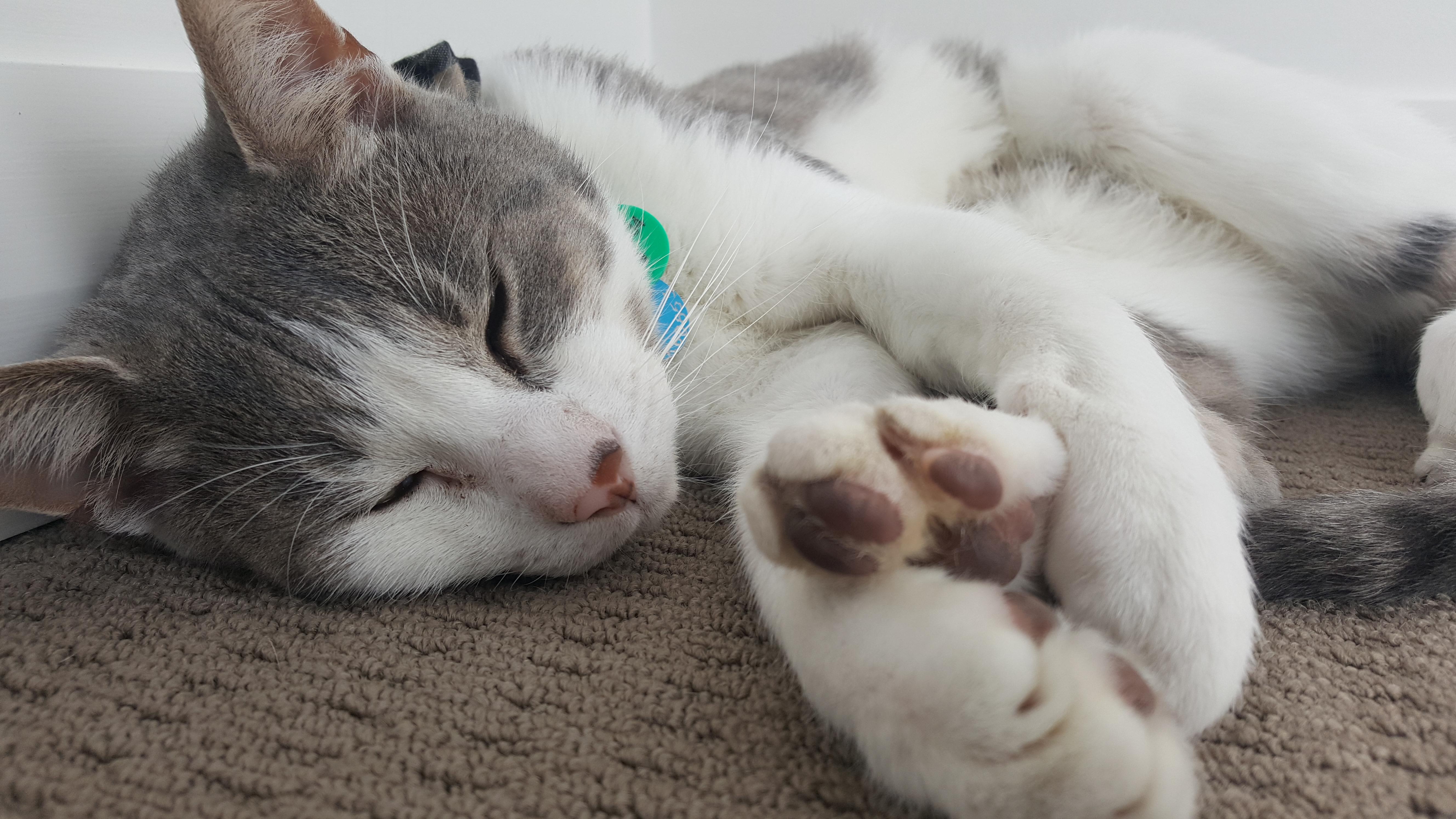 Clutching the toe beans.. | Scrolller