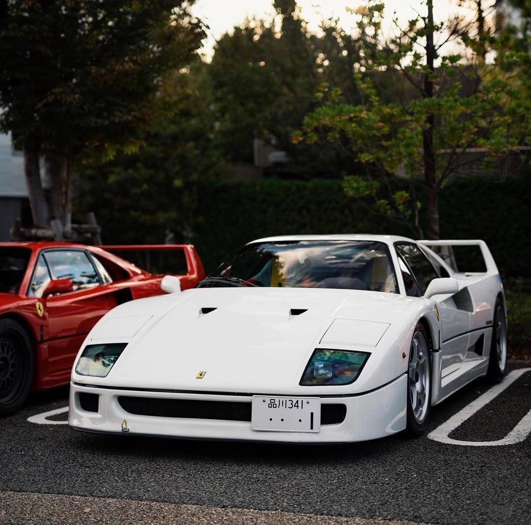 Cocaine F40 | Scrolller
