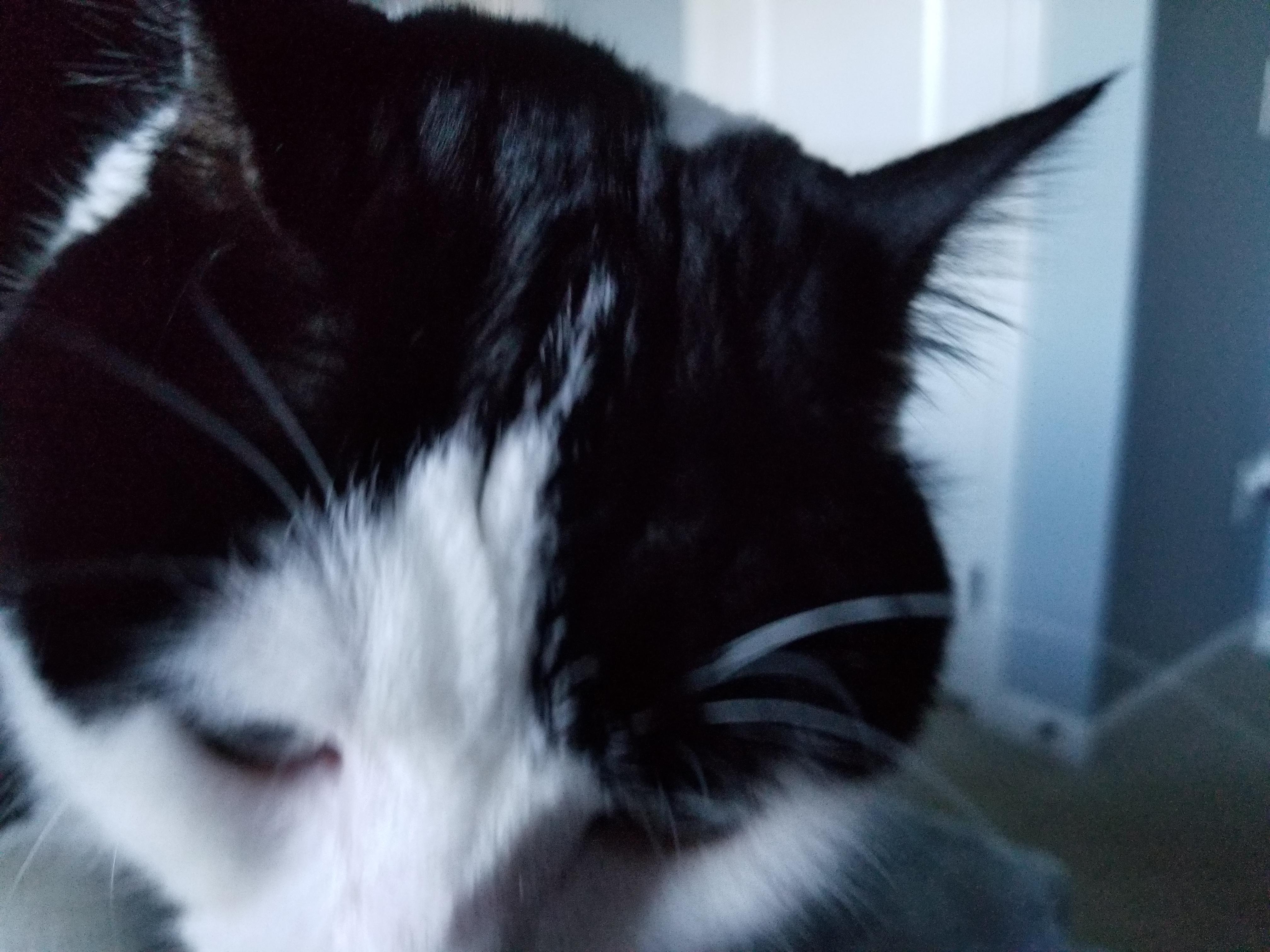 Coco is a little too close. | Scrolller