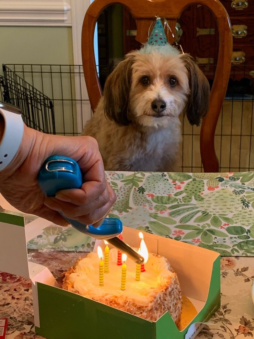 Coconut Cream Cake For His Sixth Birthday | Scrolller