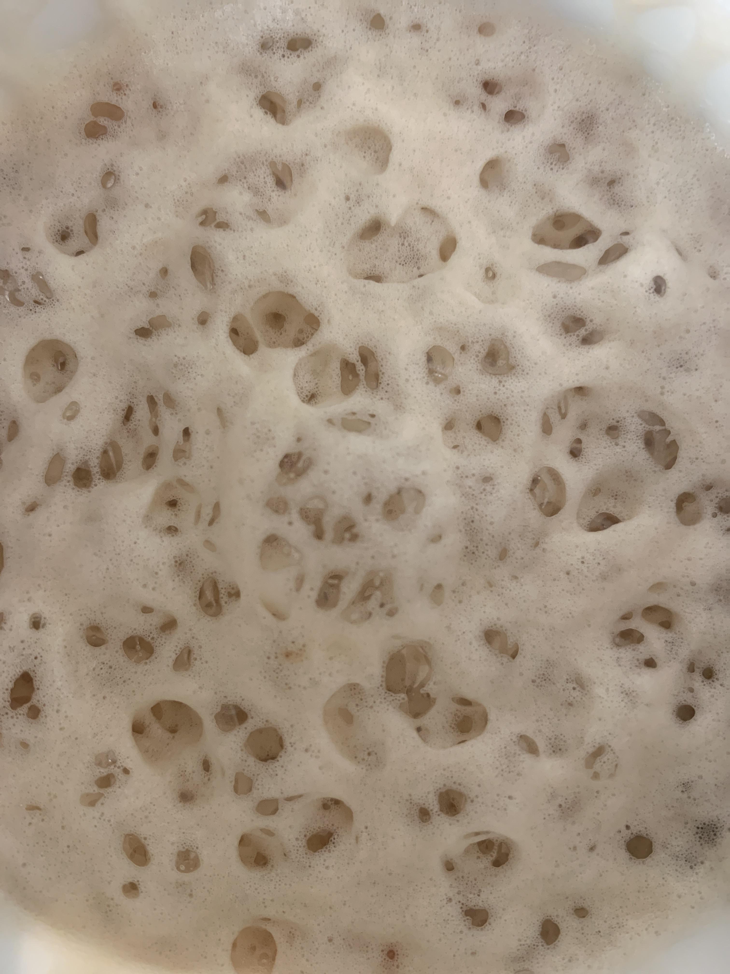 Coffee foam | Scrolller