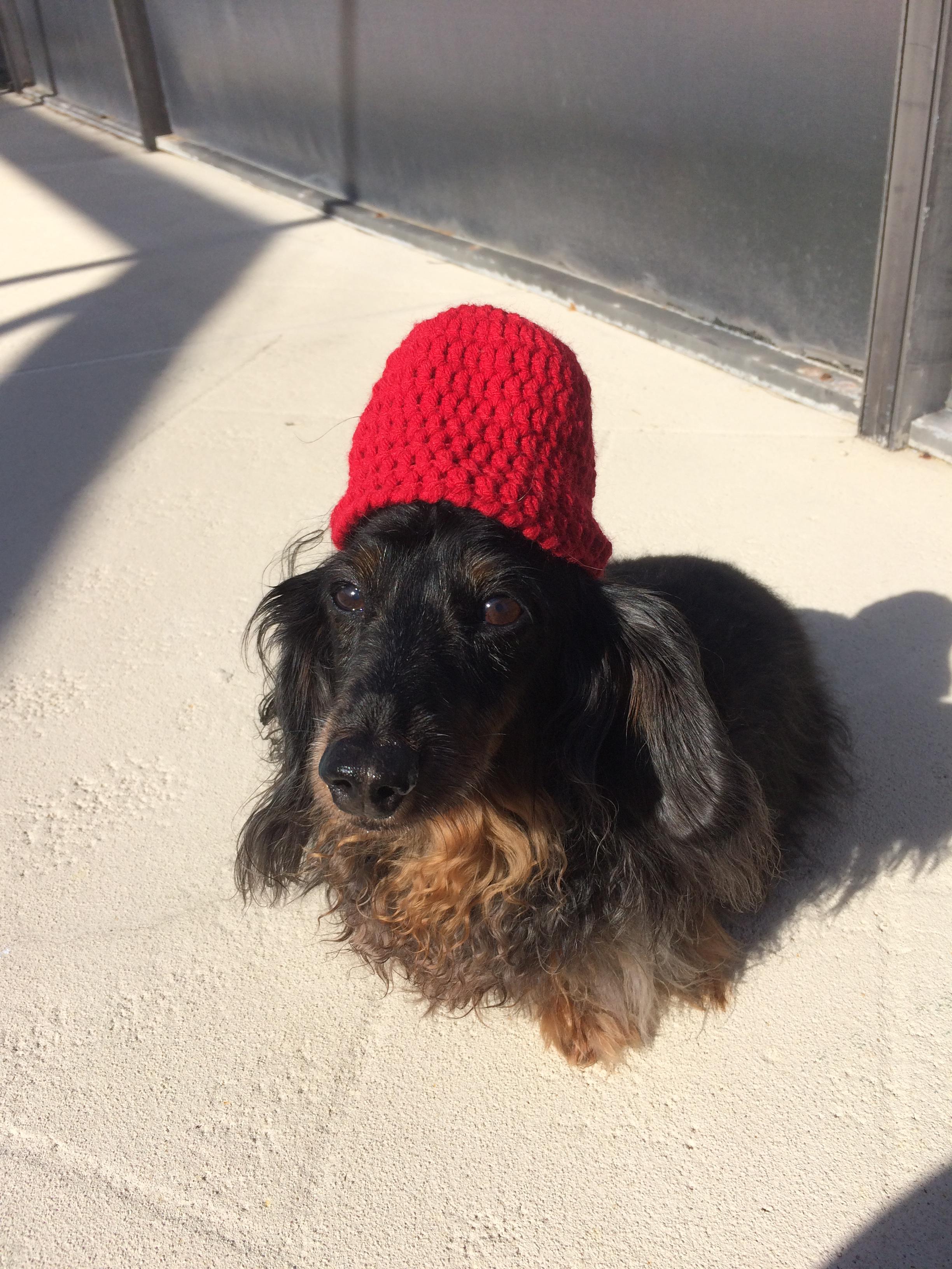 Cold day at the pool | Scrolller