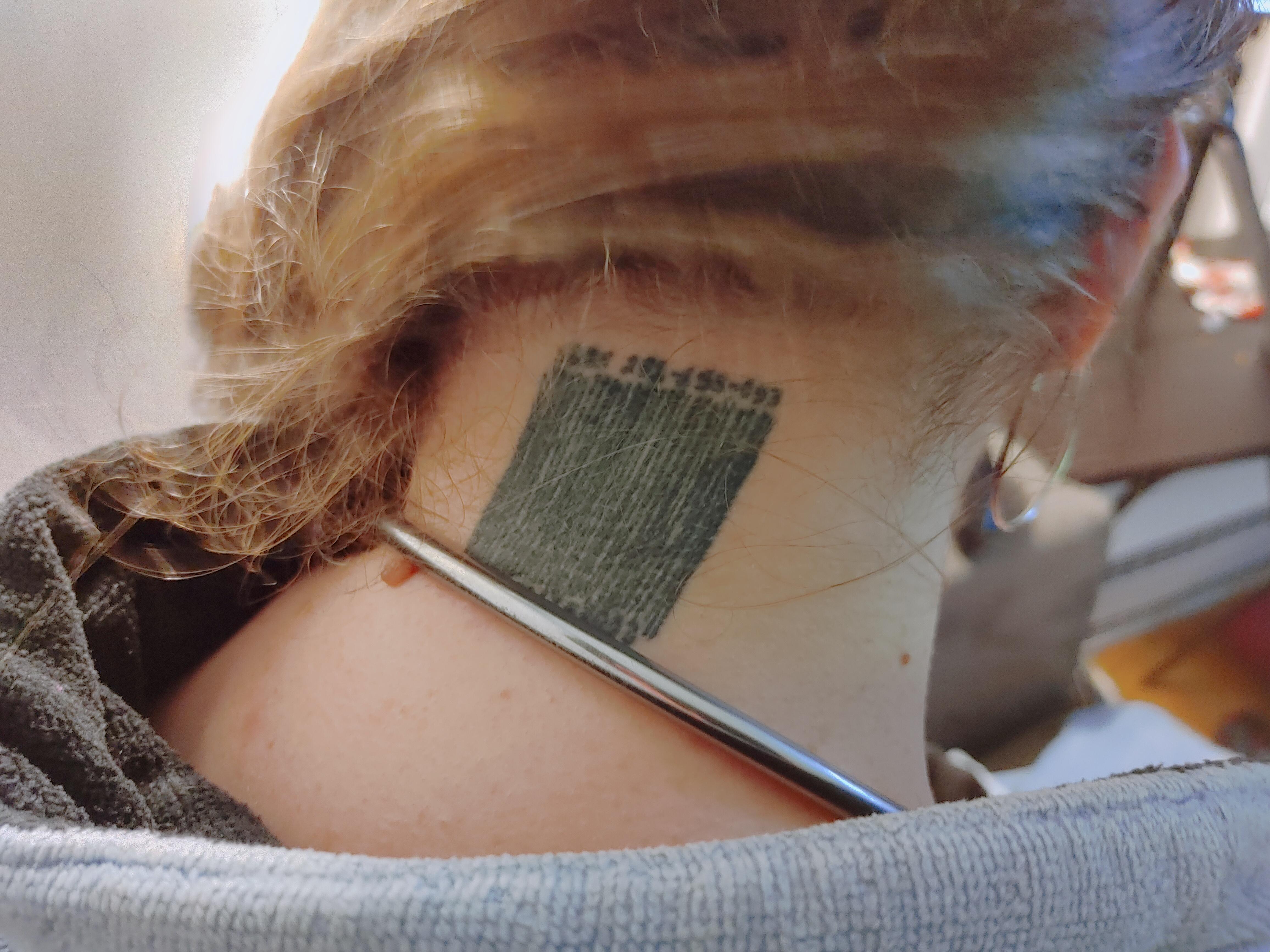 Collared, marked, owned, loved, used, abused 🥰 | Scrolller