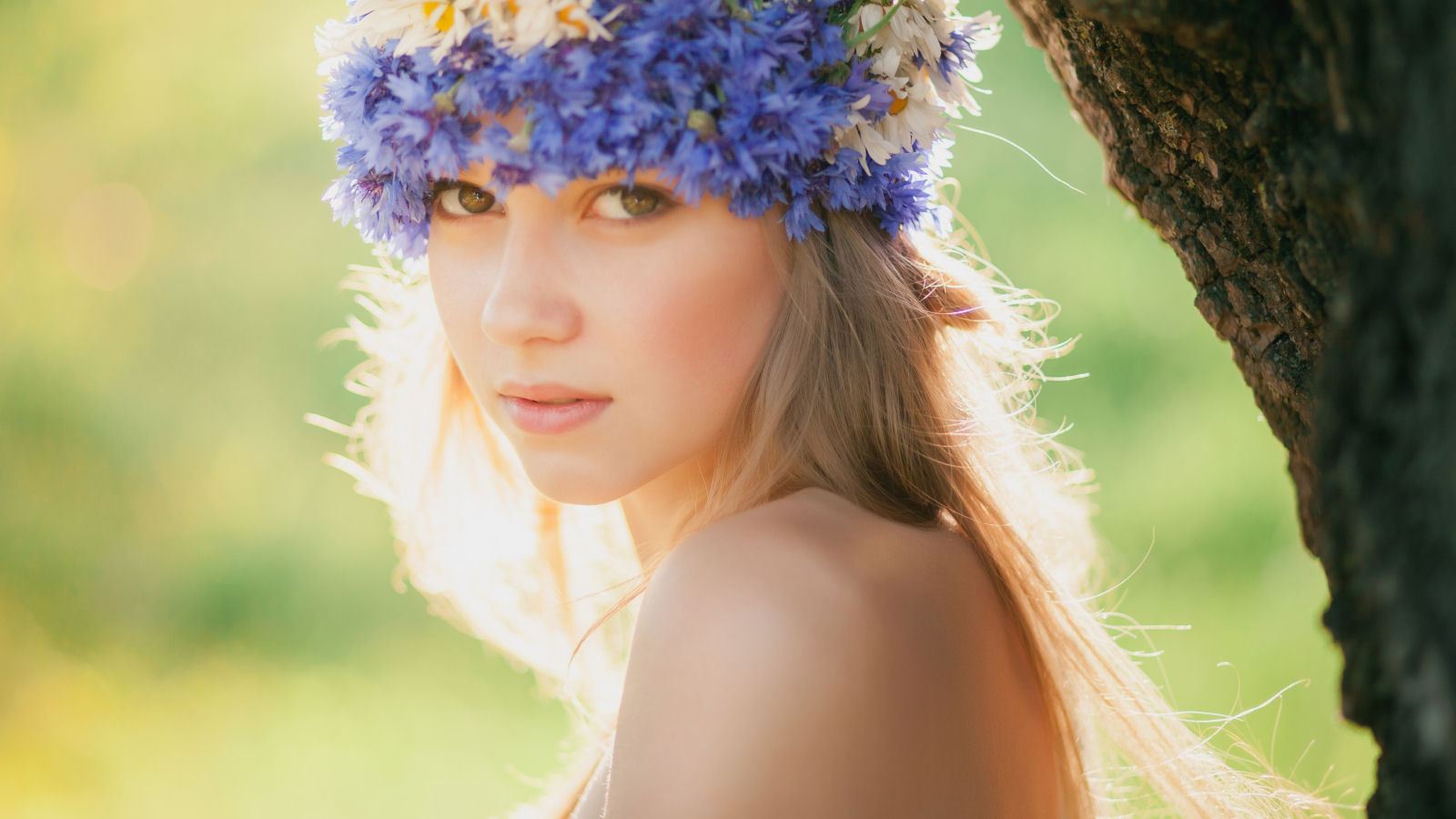 Collection of Artsy NSFW Wallpapers | Scrolller