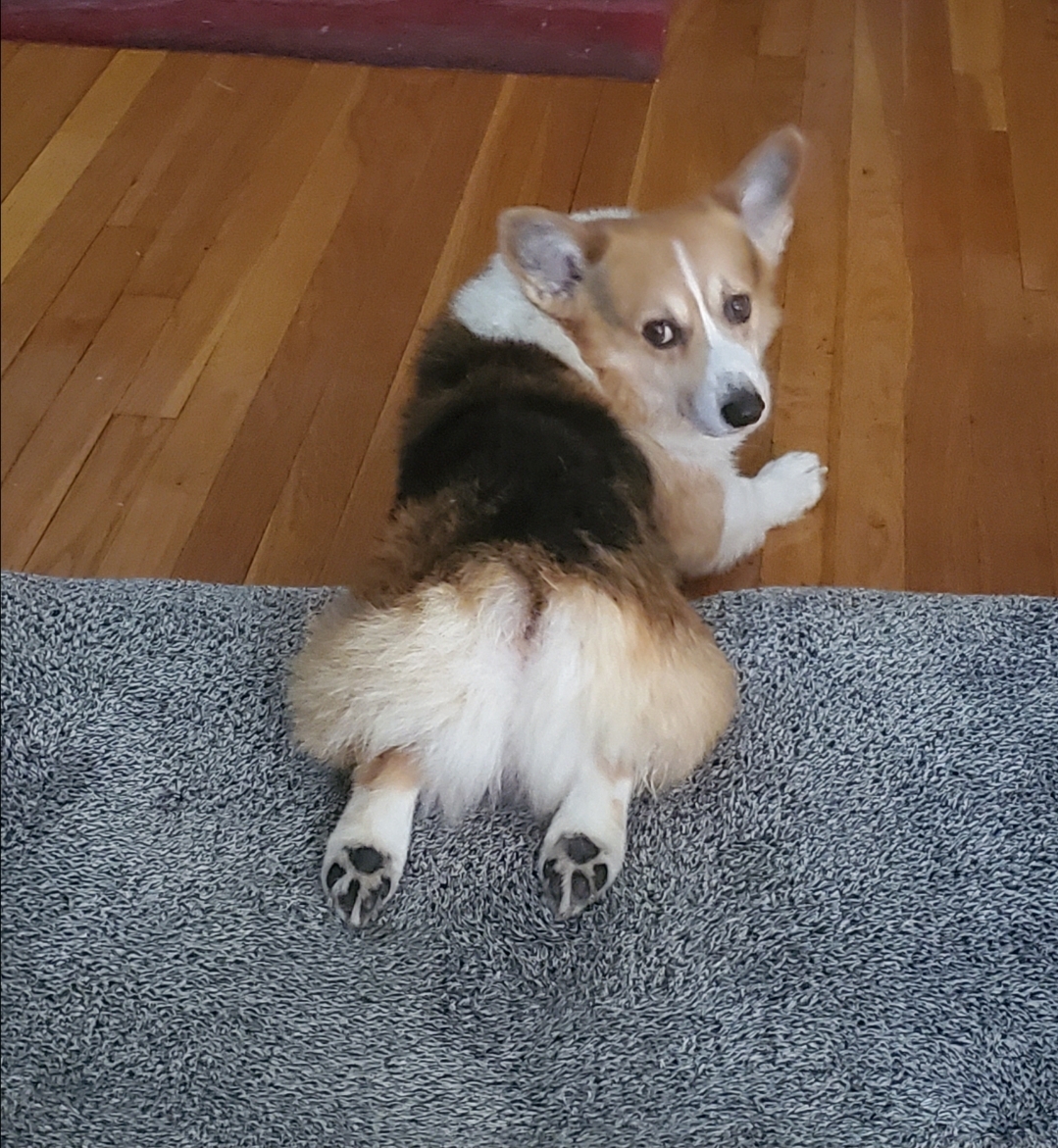 Comfortable Scrolller