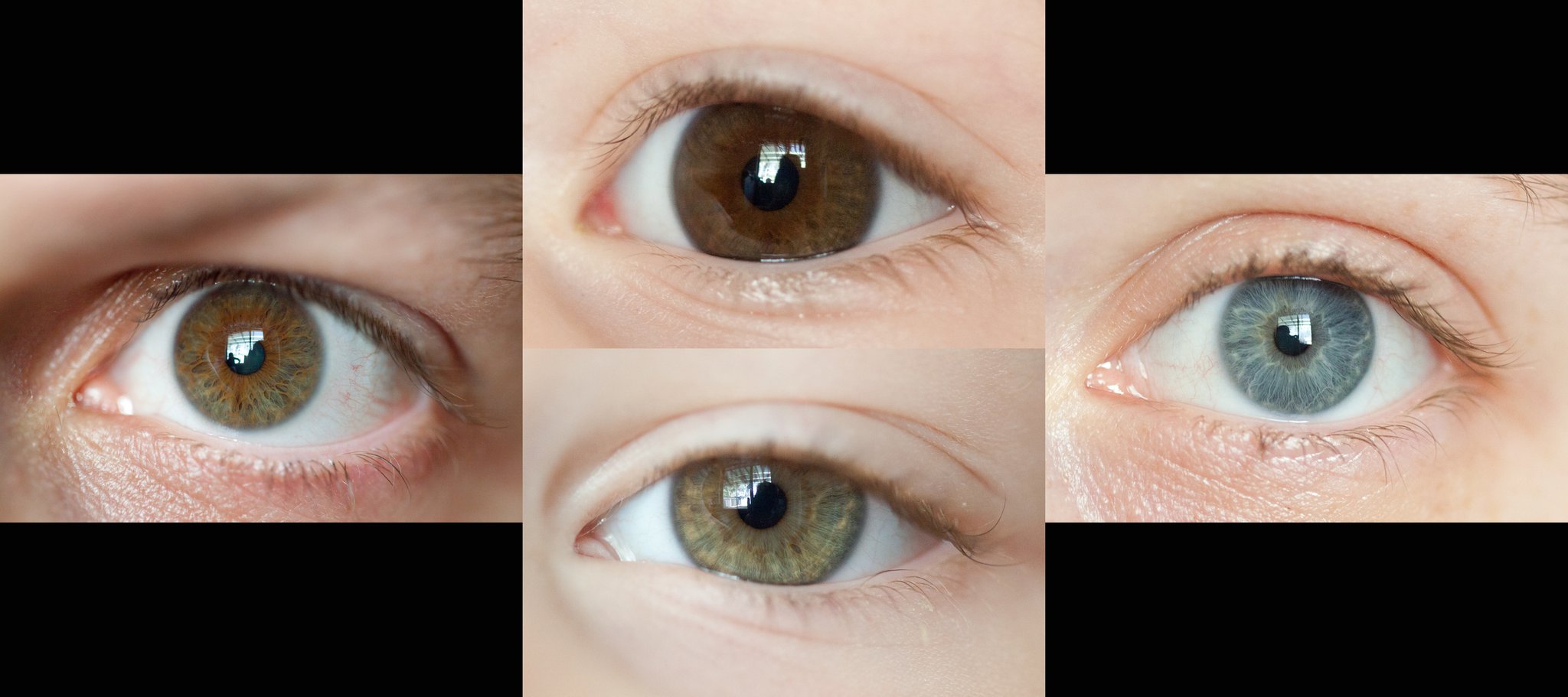 Comparing mine/my wife's/my children's eyes | Scrolller