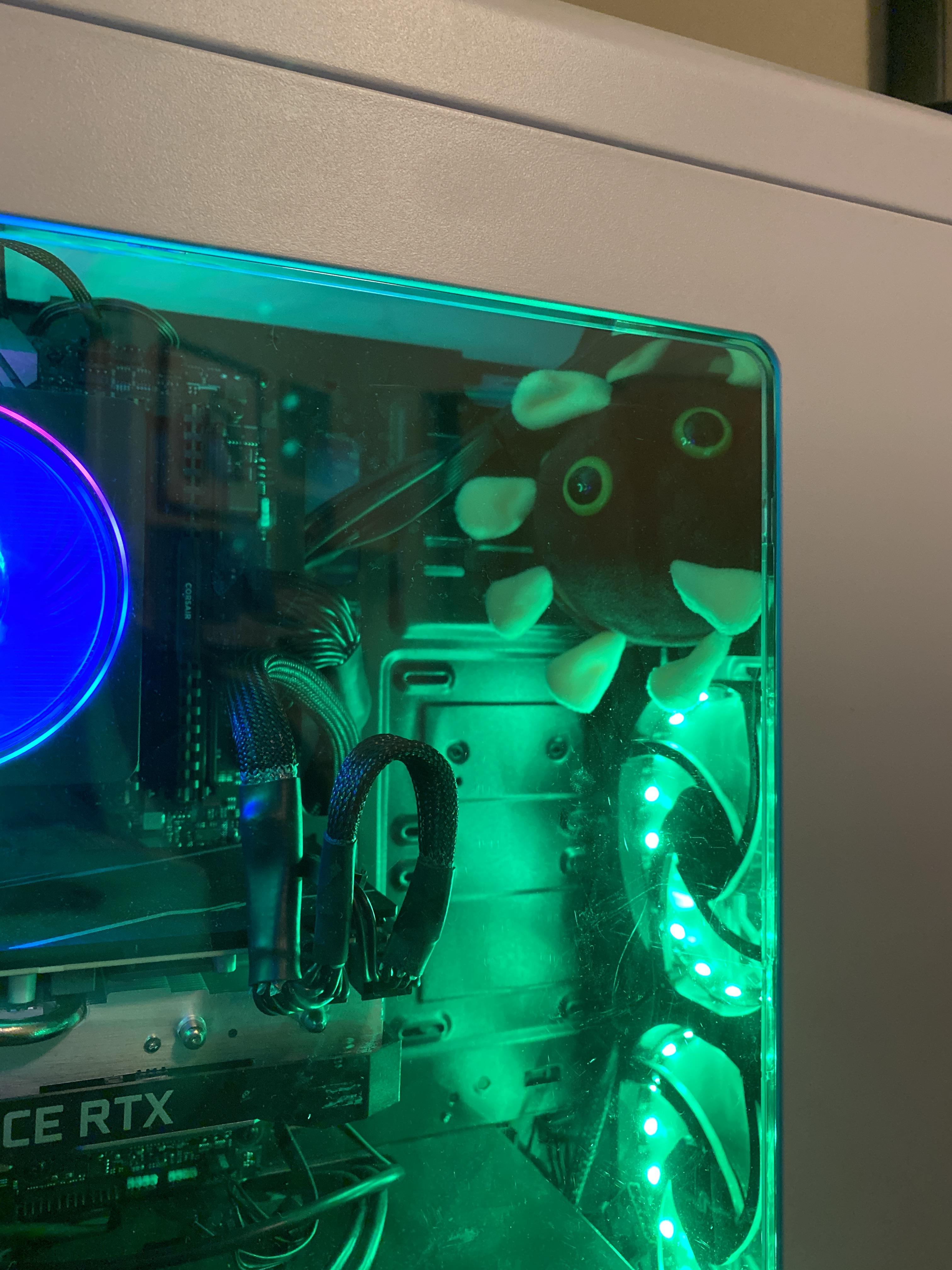 Computer Virus | Scrolller