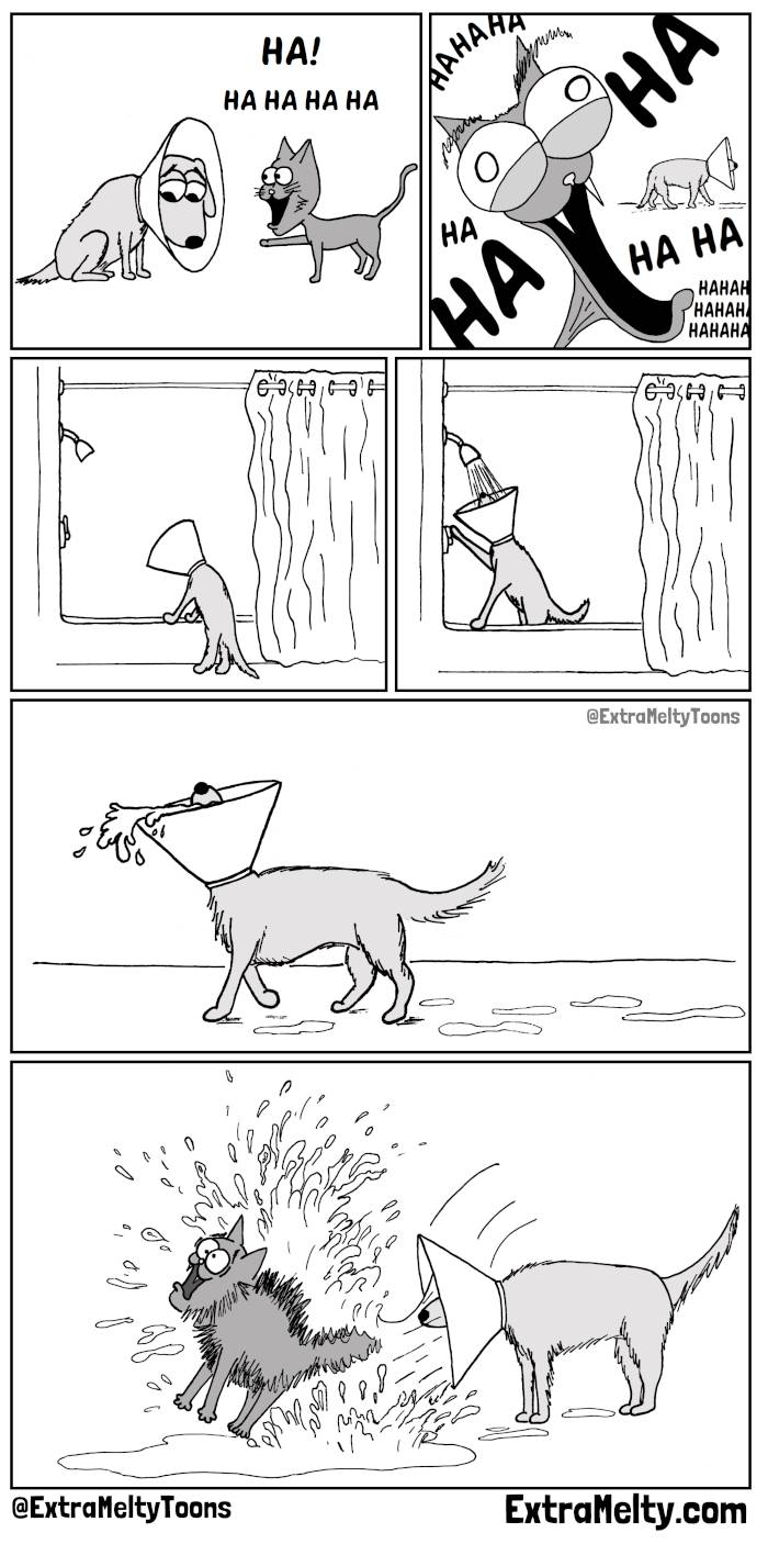 Cone of Shame | Scrolller