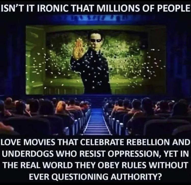 Conformity, the new rebellion | Scrolller