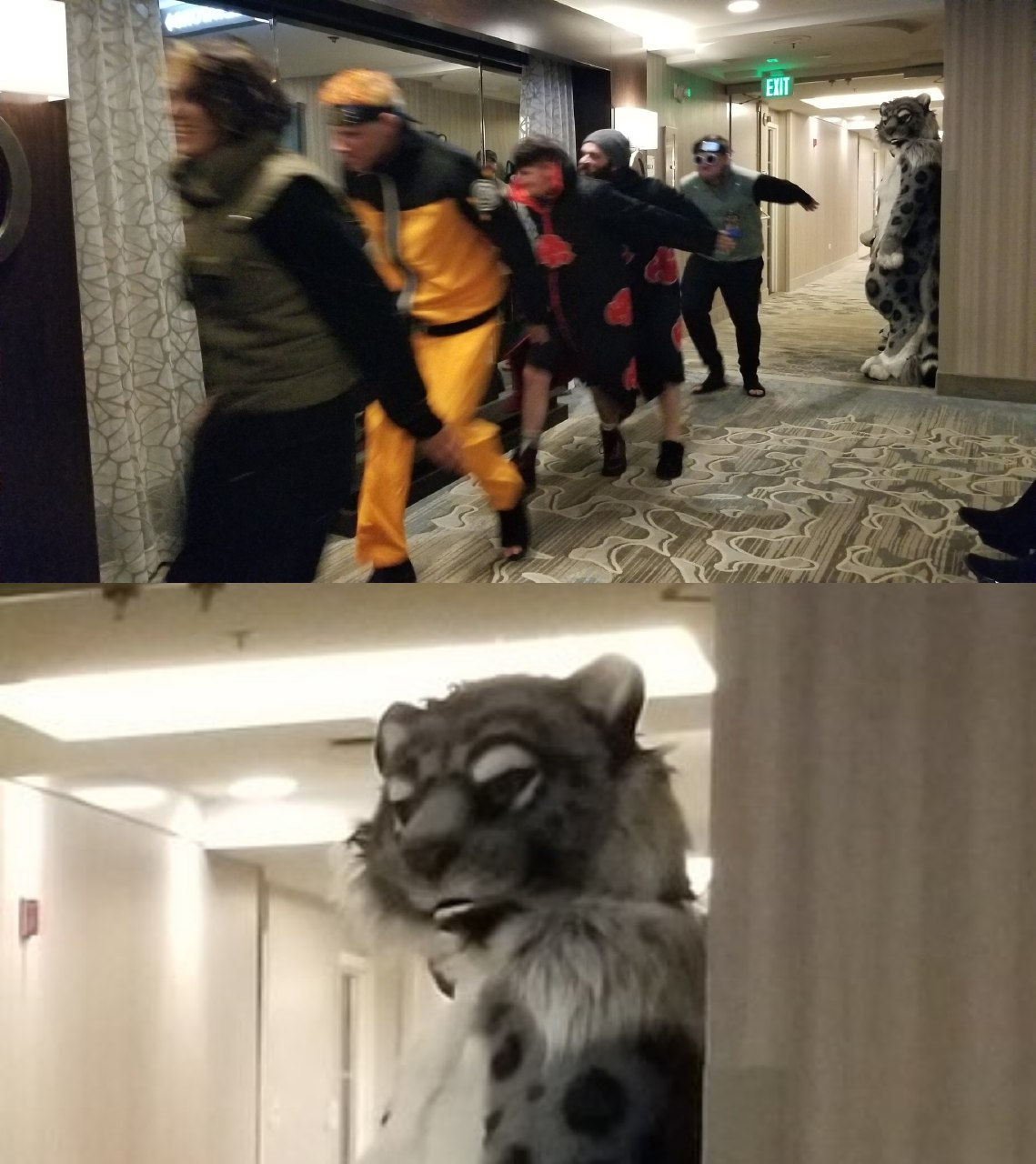 confusion_Irl | Scrolller