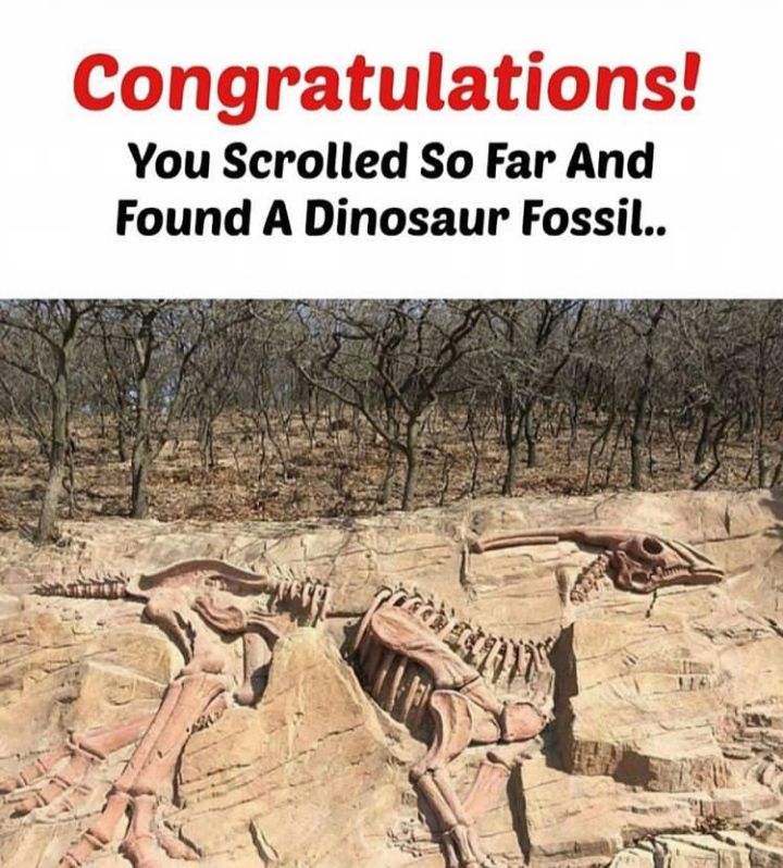 Congratulations🎉🎊 | Scrolller