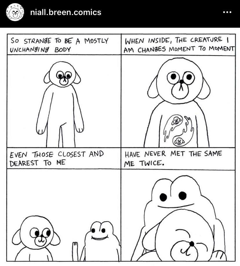 Constant transformation | Scrolller