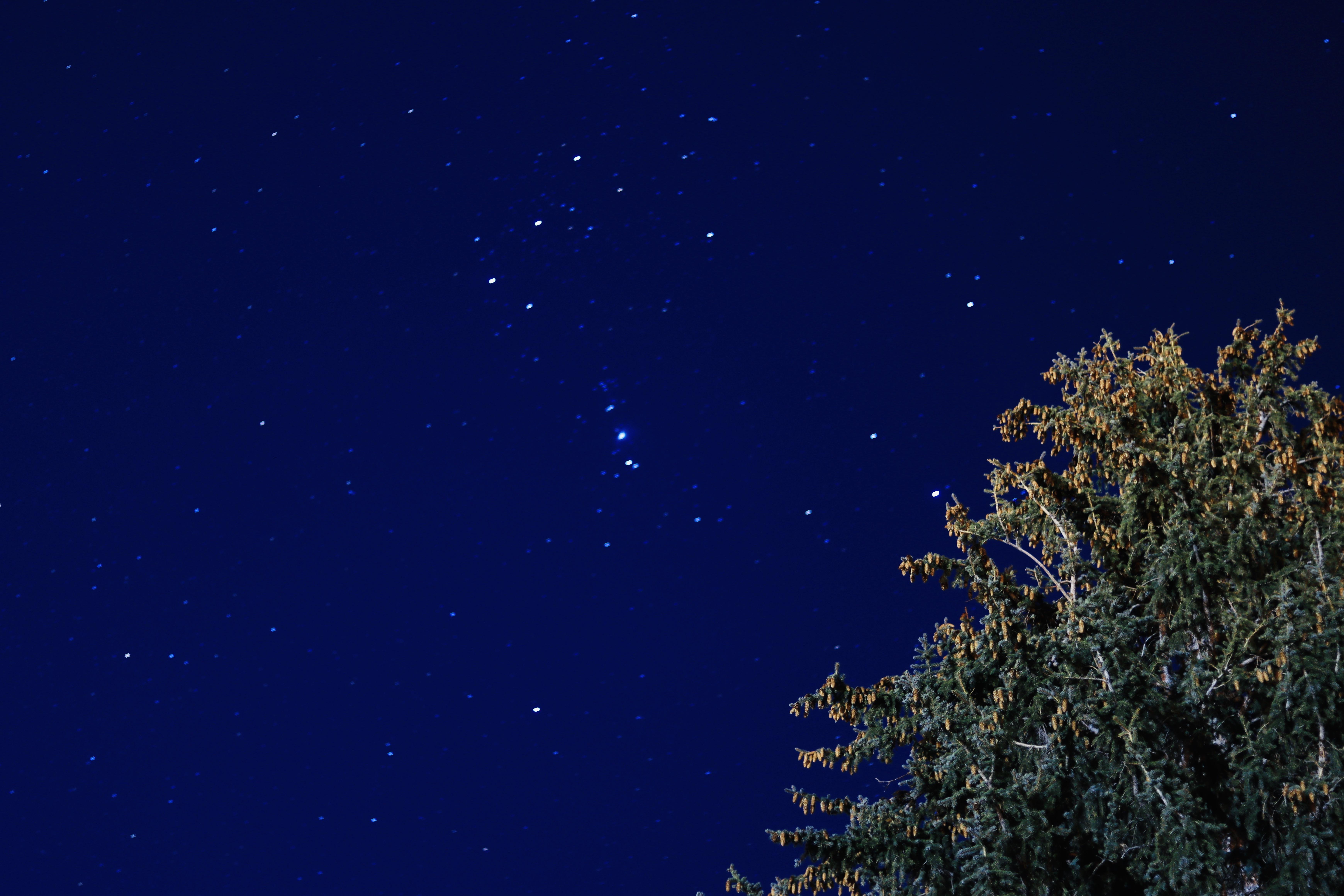 Constellation Orion from last night | Scrolller