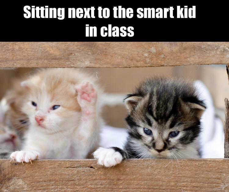 Contemplating life | Scrolller