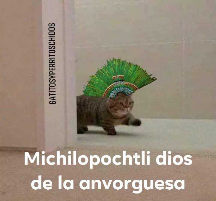 Contemplen a su nuevo Dios | Scrolller