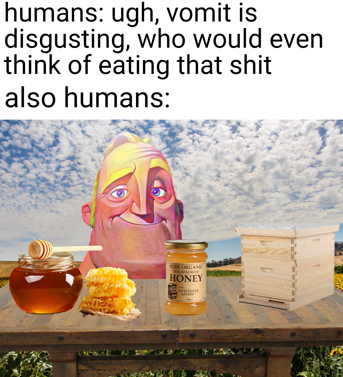 CONTEXT: honey is essentially bee vomit | Scrolller