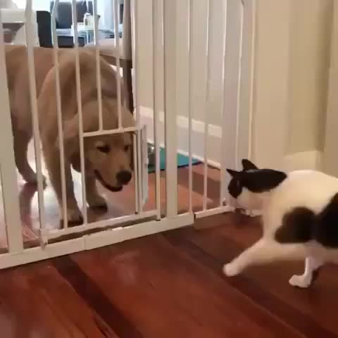 COnVicTEd FeloN EscAPes FrOm maXiMUm SEcURIty PRisON | Scrolller