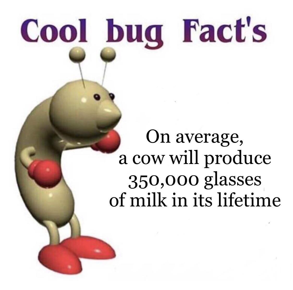 Cool bug facts | Scrolller