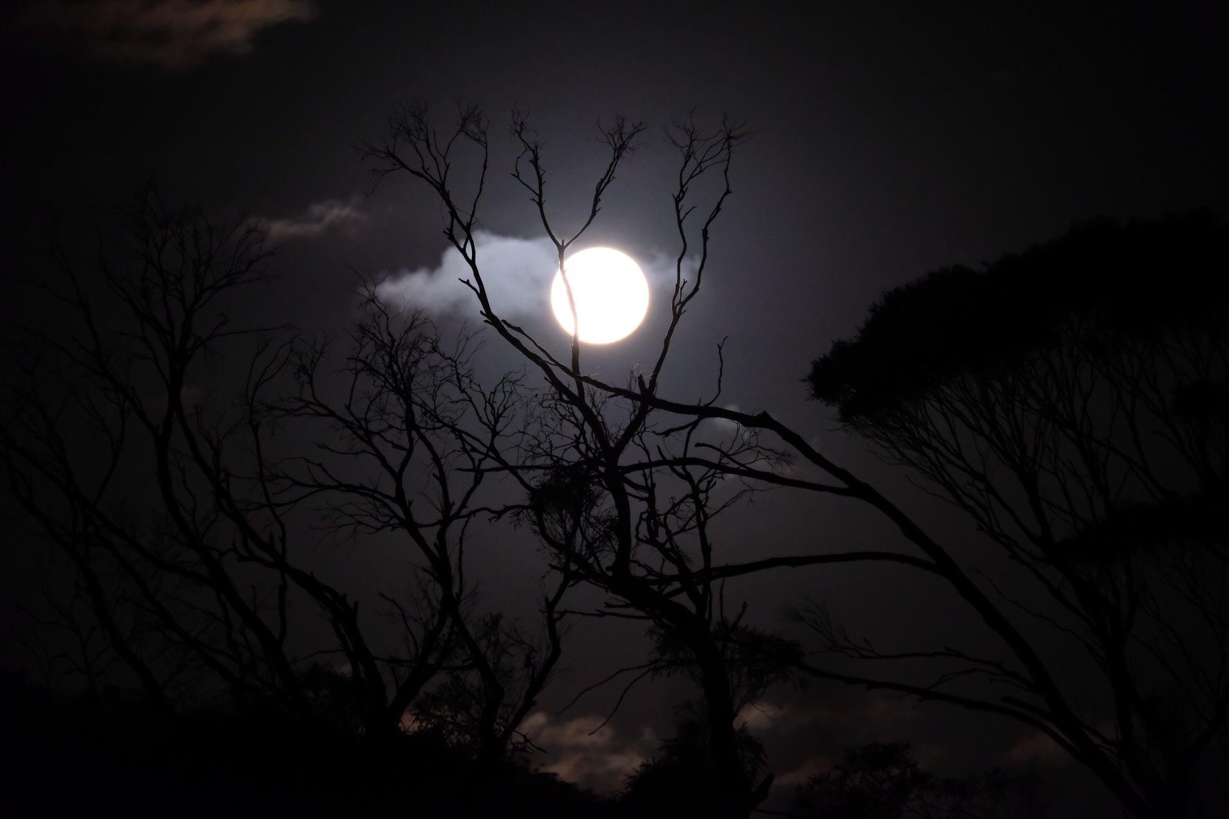 Cool Freycinet nights | Scrolller