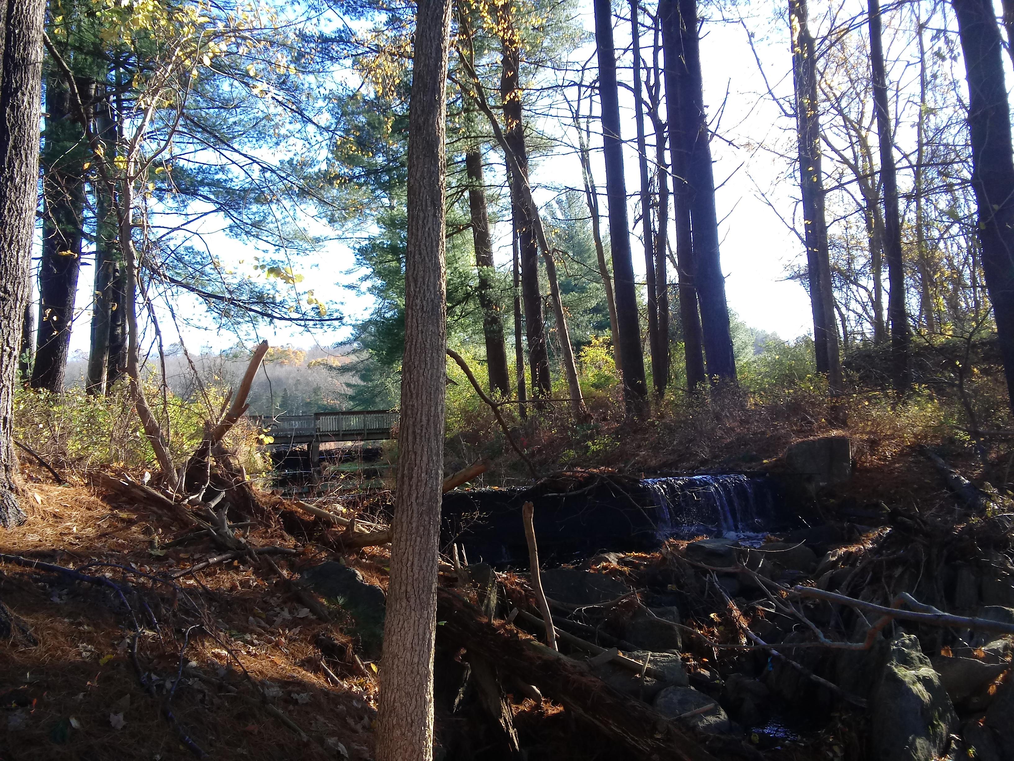 Cool shot | Scrolller