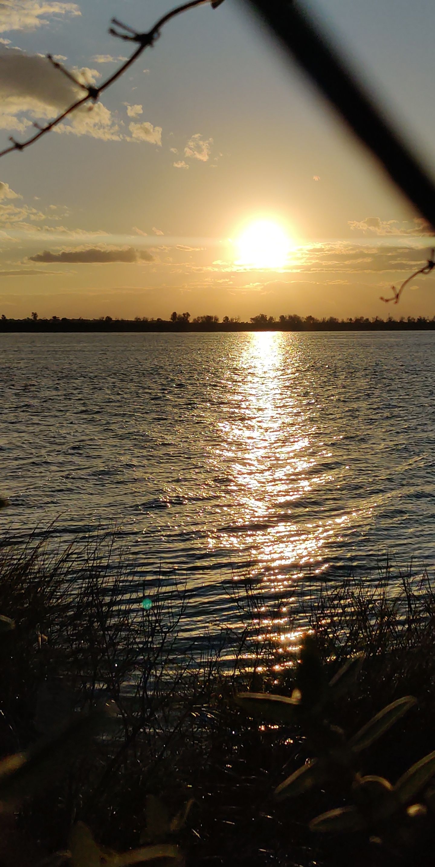 Cooper River | Scrolller