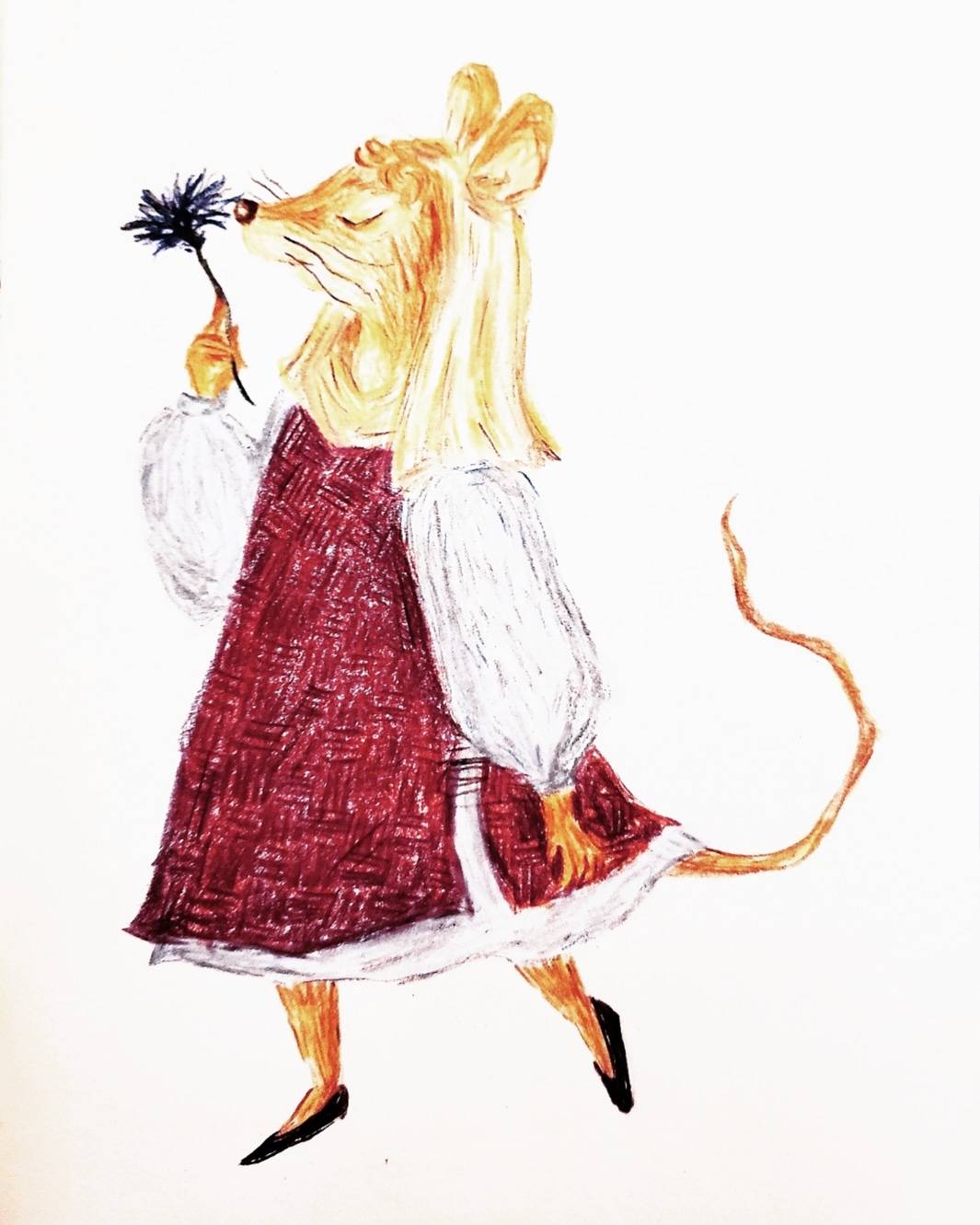 Cornflower Fieldmouse Scrolller