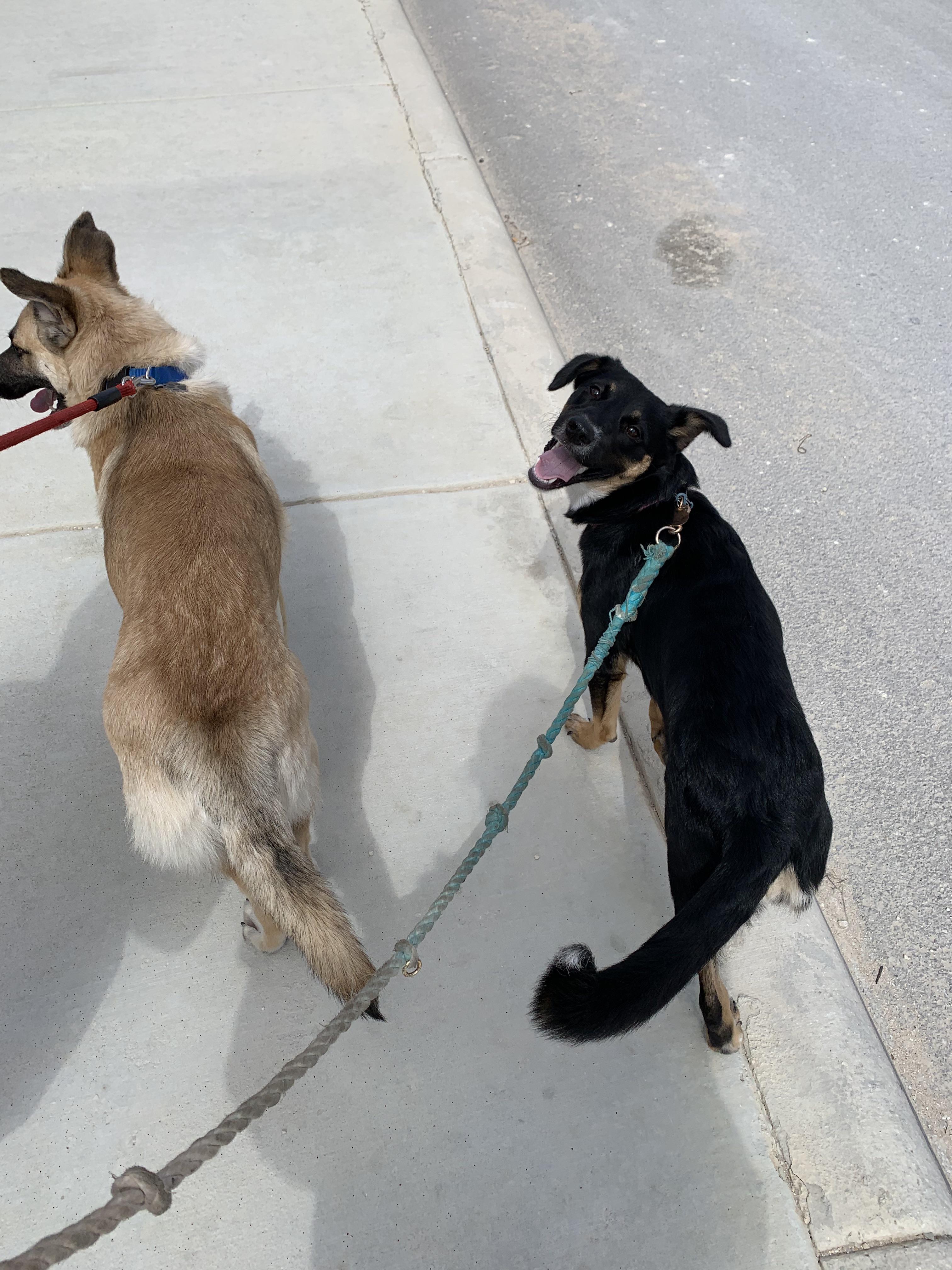 Cosmo and Peggy :) | Scrolller