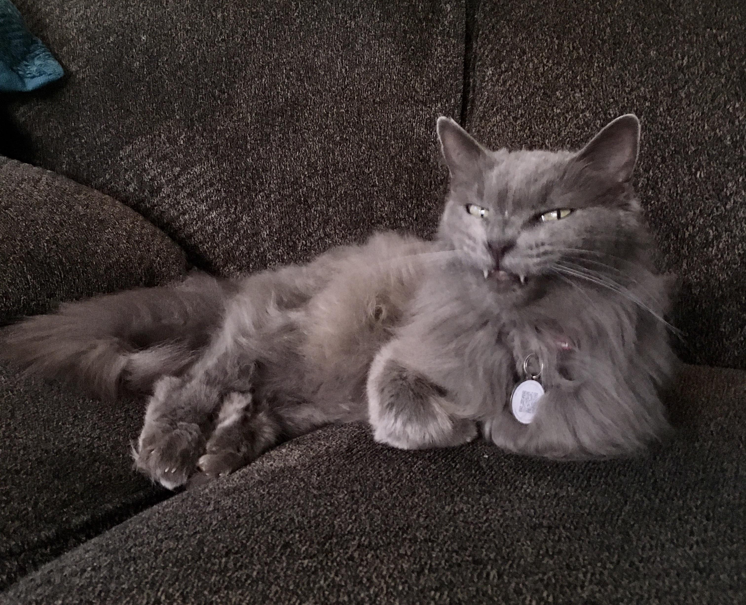 Count Nebela | Scrolller