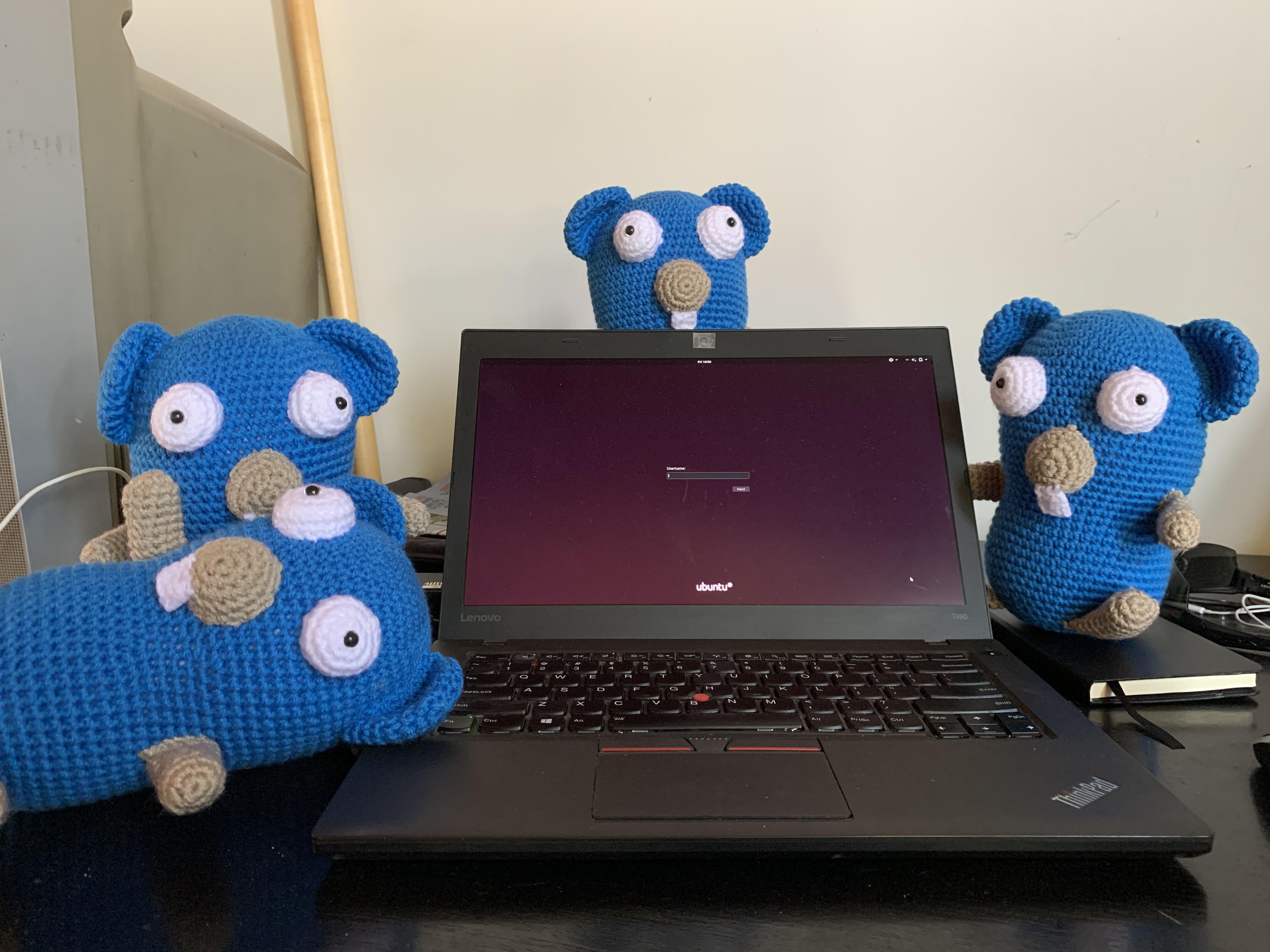 COVID-19 Gophers made by my GF | Scrolller