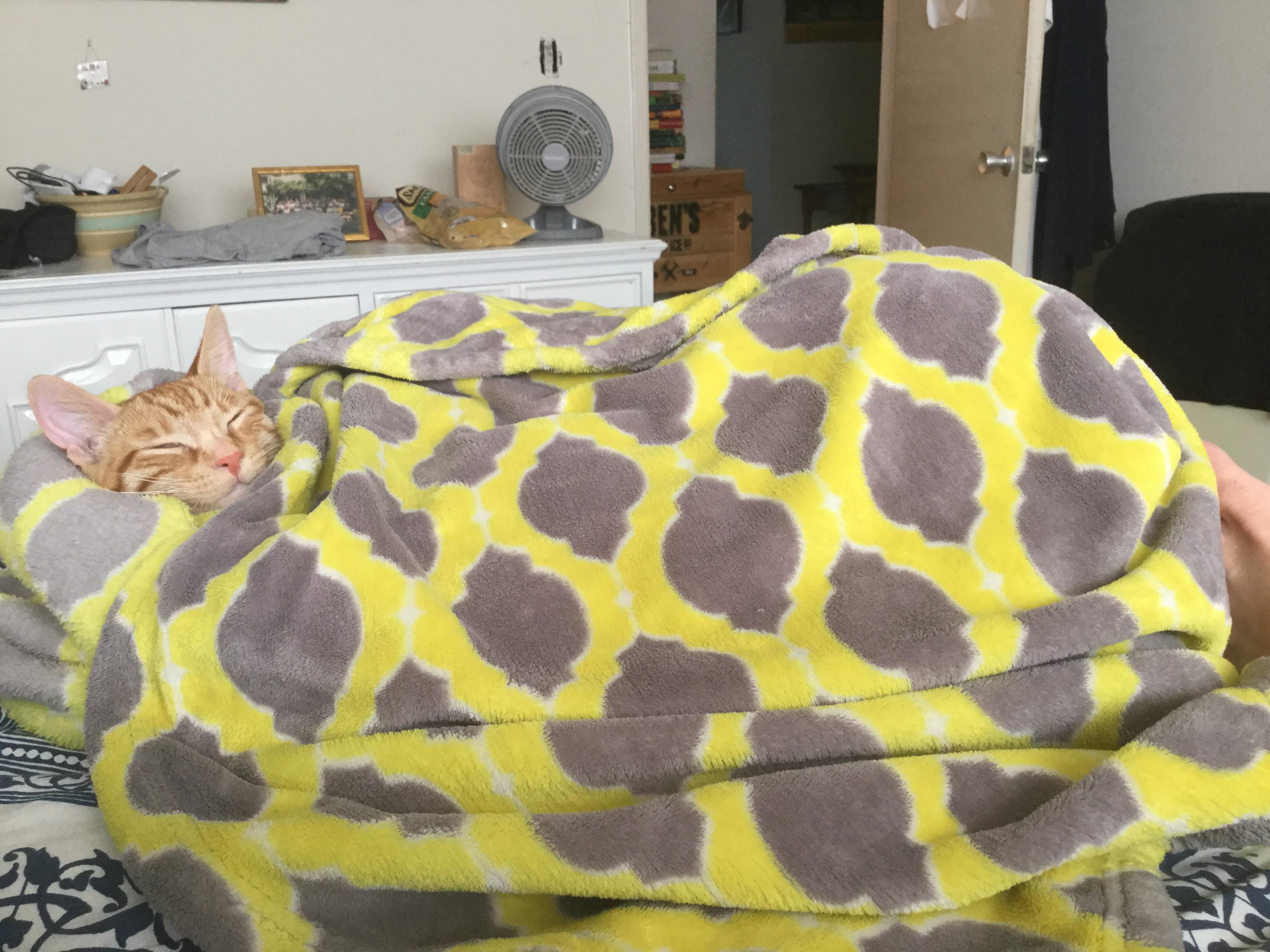 Cozy boi | Scrolller