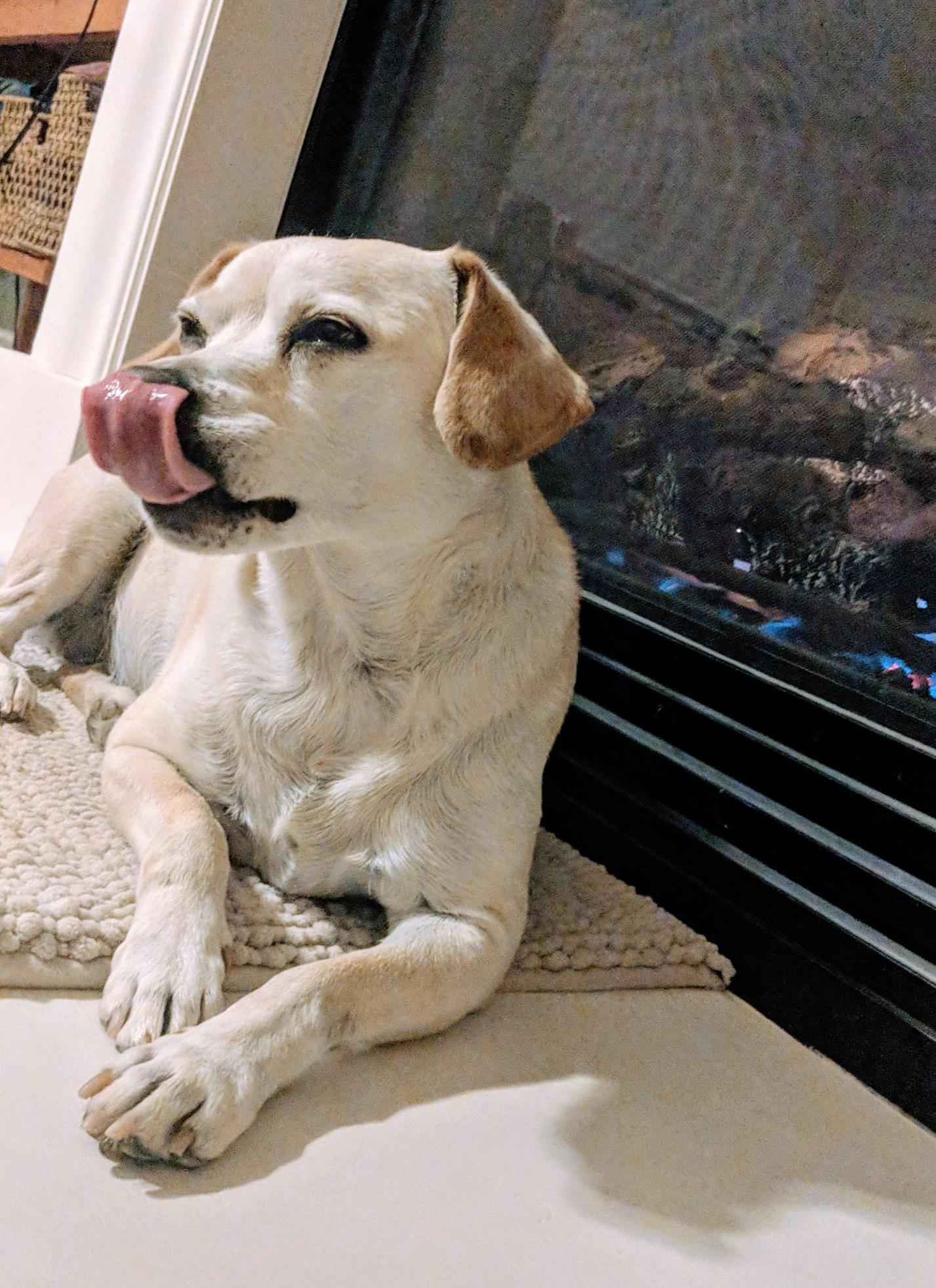 Cozy fireplace mlem | Scrolller