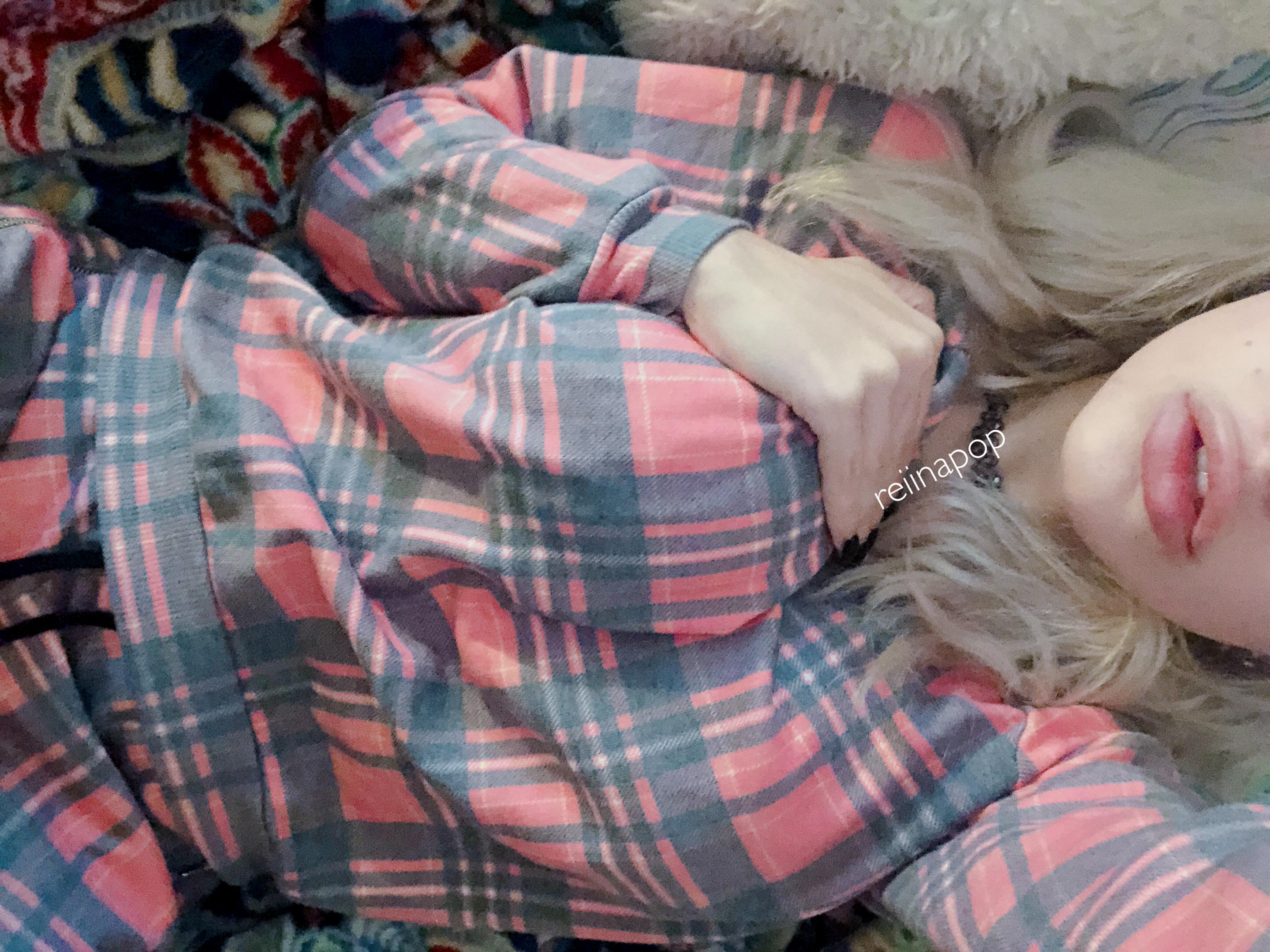 cozy kitten | Scrolller