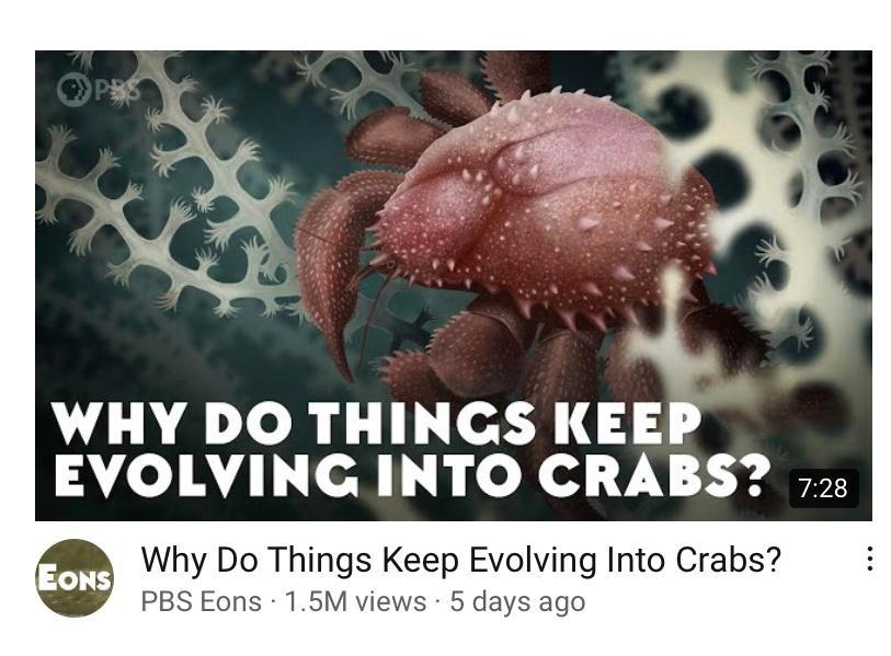 Crab rule | Scrolller